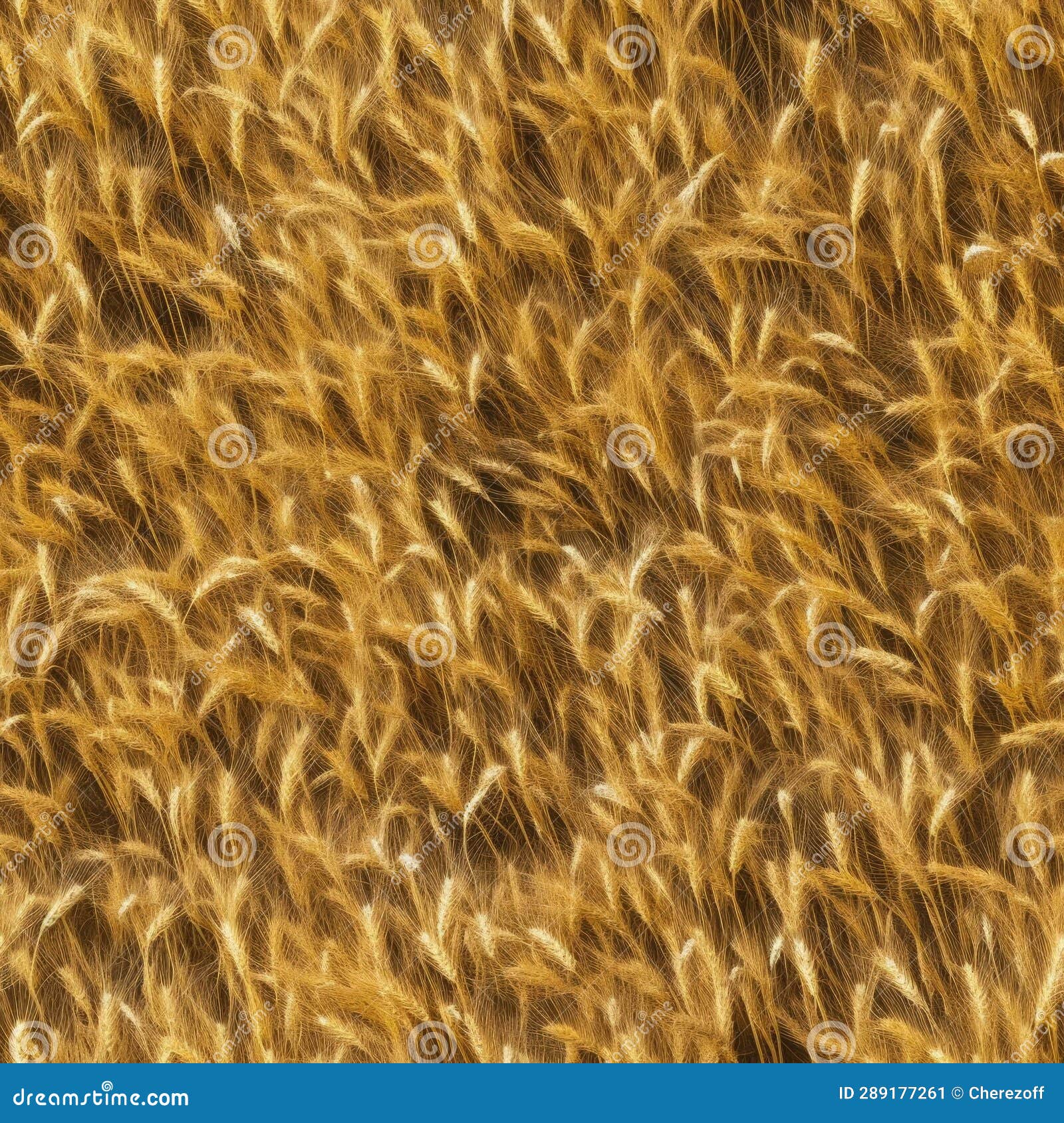 Seamless Texture of Ears of Wheat Stock Image - Image of graphic ...