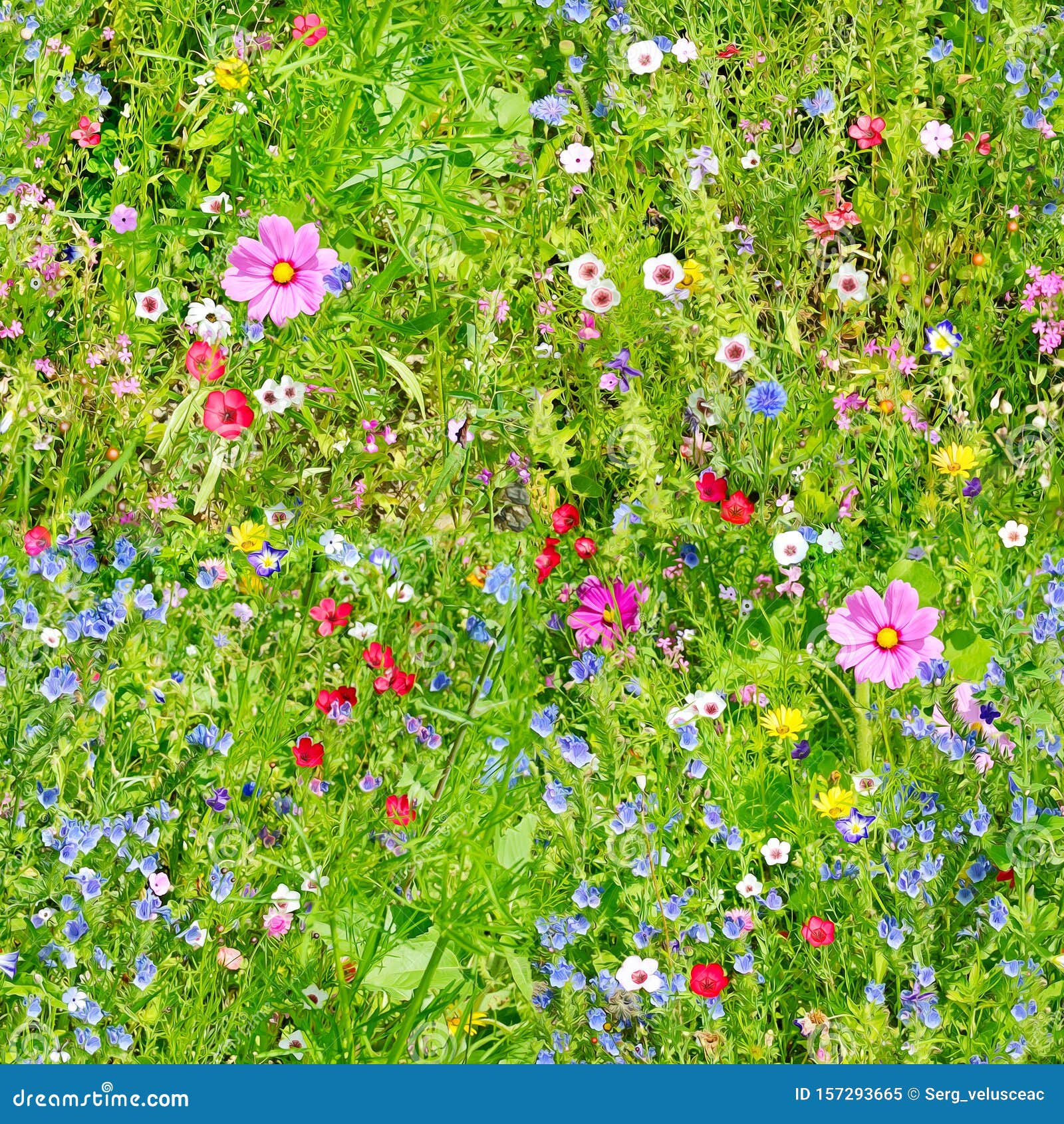 Seamless texture flowers stock image. Image of bloom - 157293665