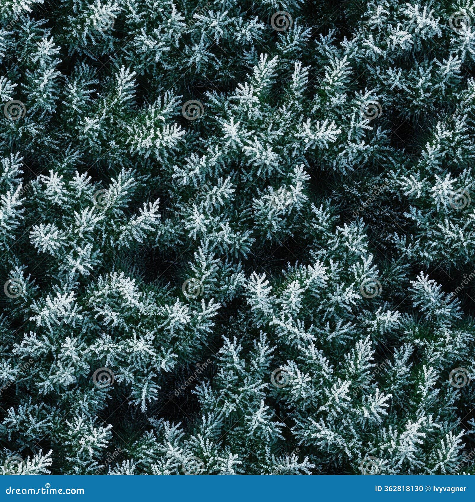 Seamless Texture of Frost-covered Moss, Deep Green with Delicate White ...