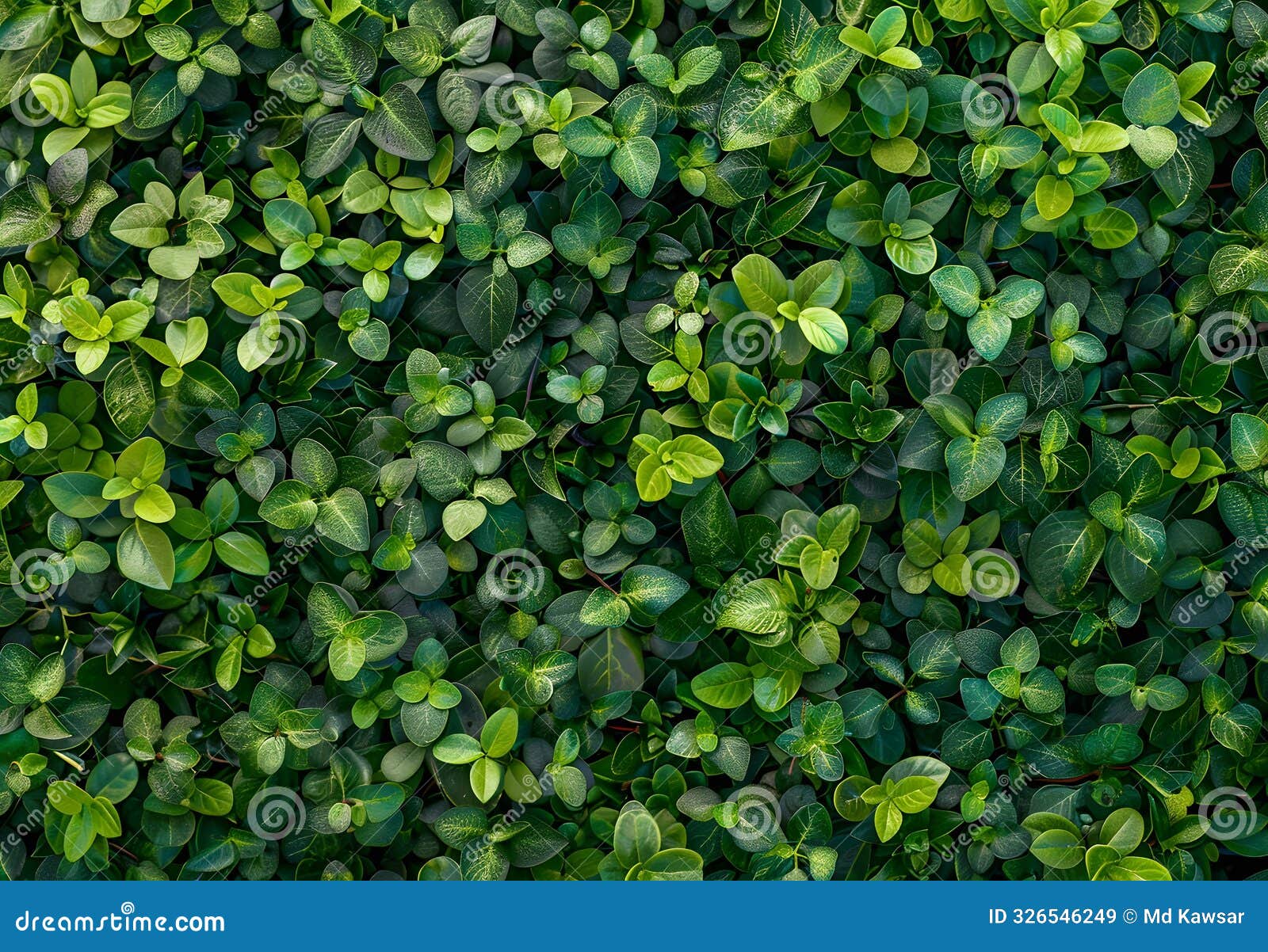 Green Foliage Texture Seamless Pattern Stock Illustration ...