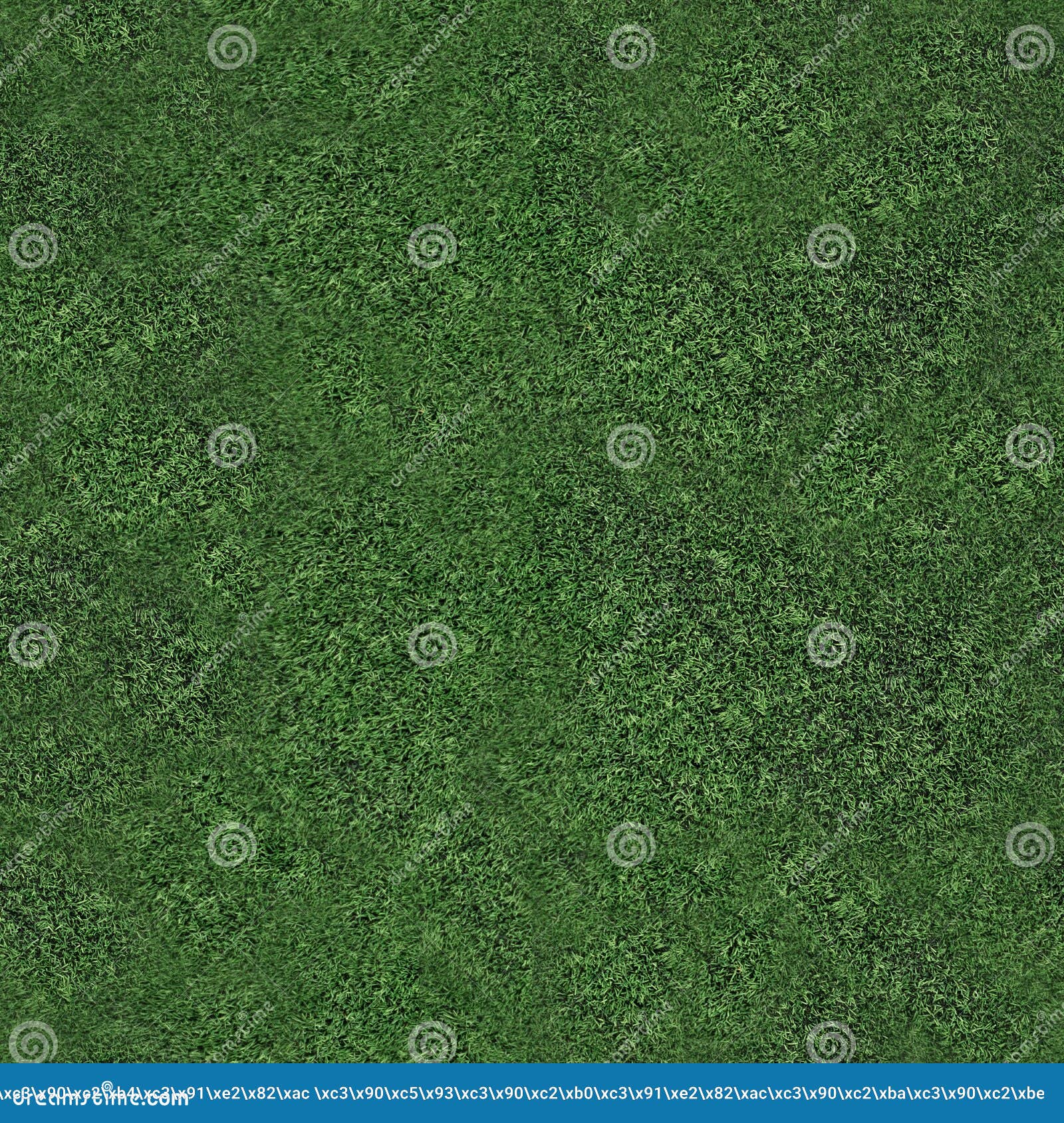 Seamless Texture Green Lawn Top View, Close-up Stock Illustration ...