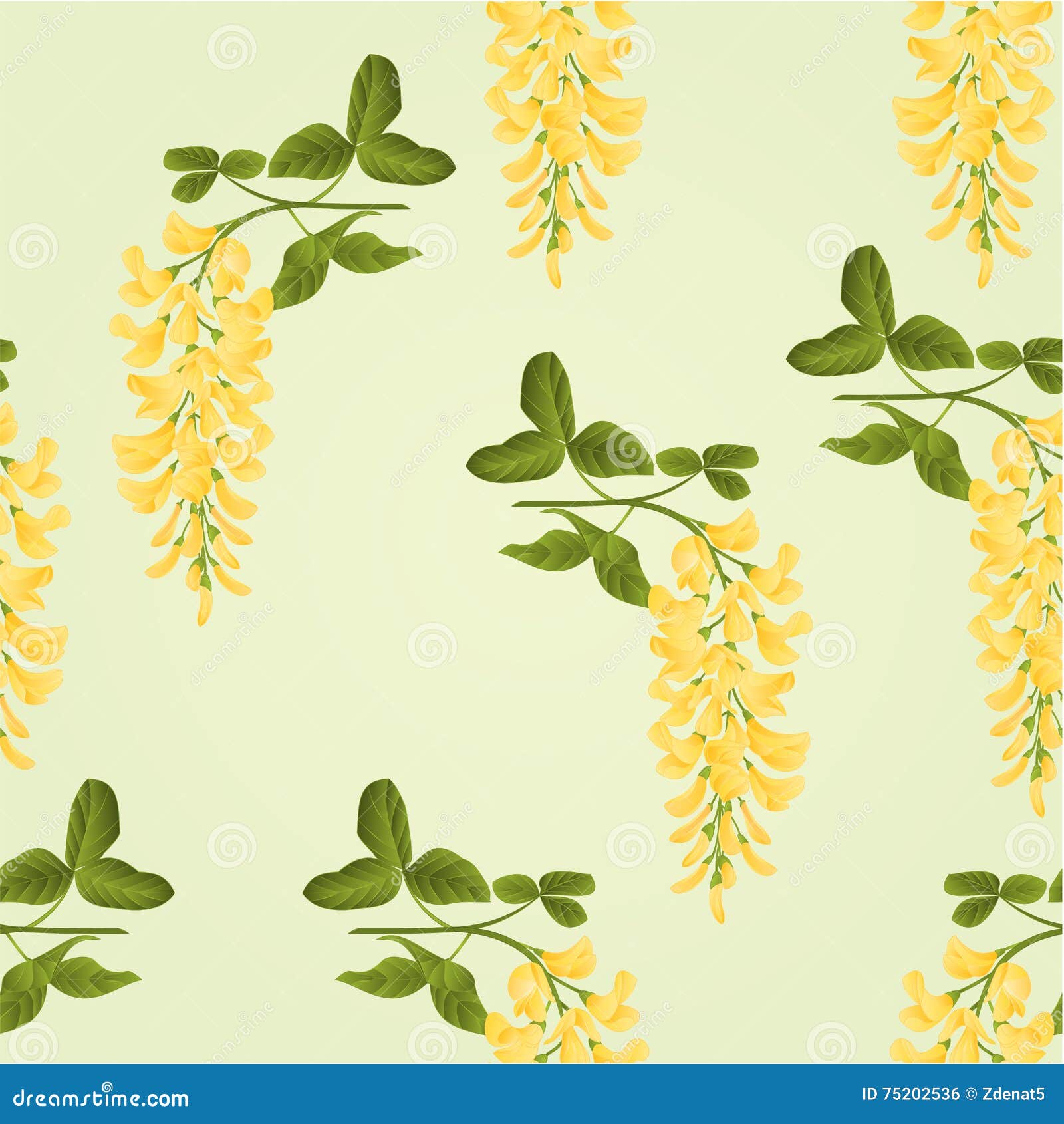Seamless Texture Laburnum Branch Decorative Shrub Vector Stock Vector ...
