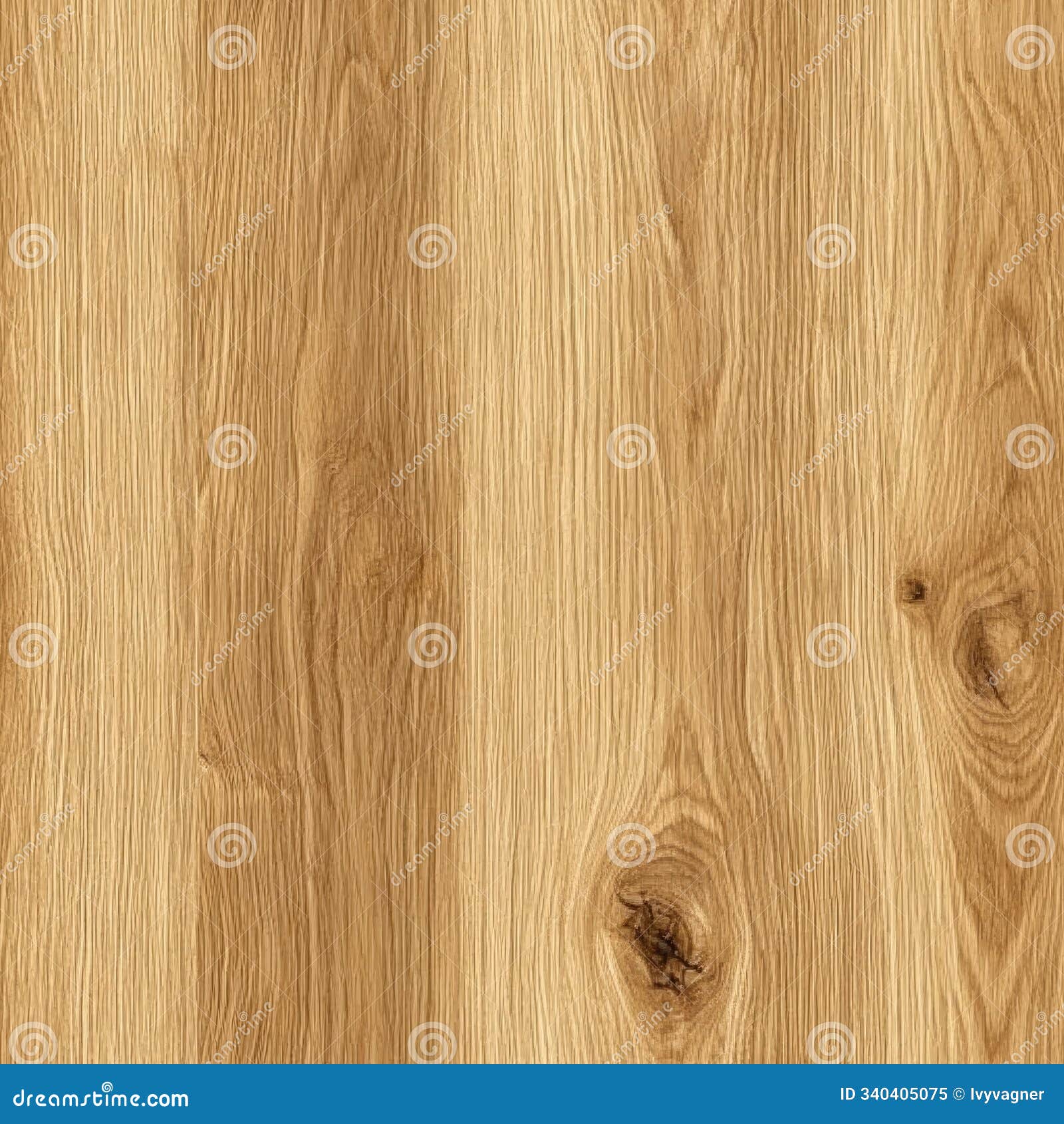 Seamless Texture of Light Oak Wood Stock Image - Image of light, smooth ...