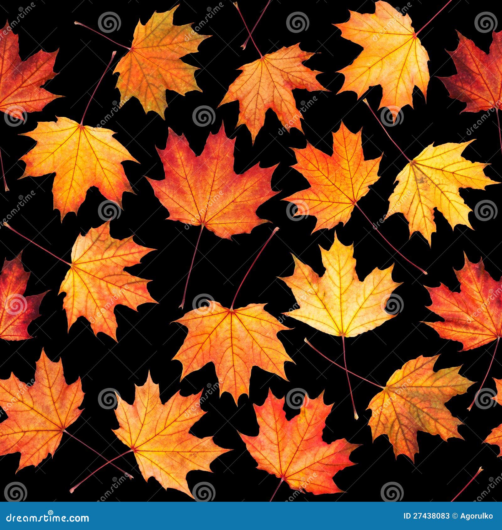 Seamless Texture with Maple Leaves Stock Image - Image of autumn, maple ...