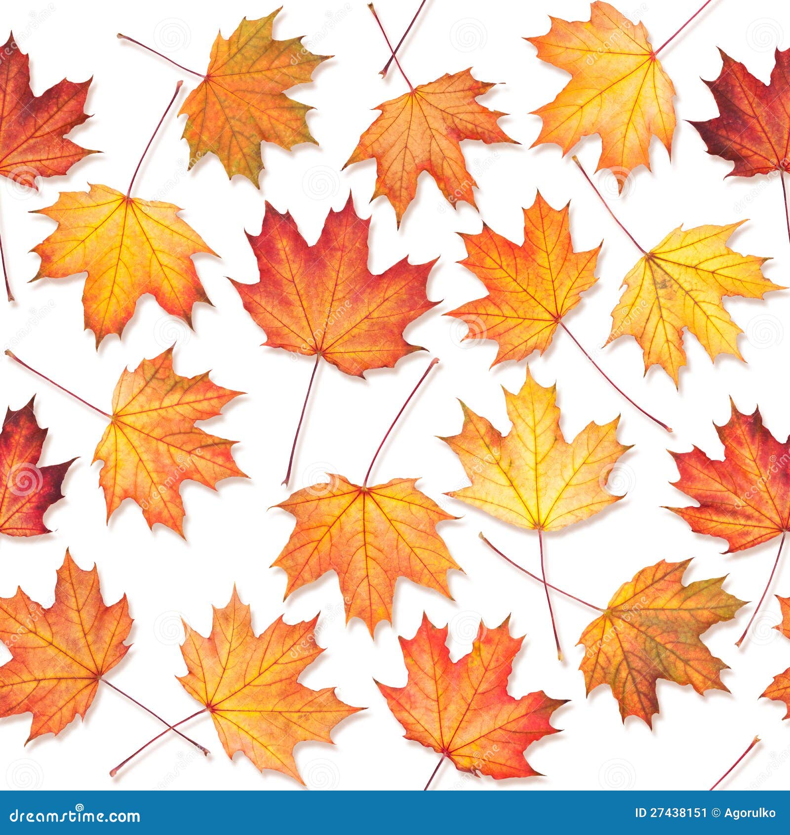 Seamless Texture with Maple Leaves Stock Image - Image of autumn ...