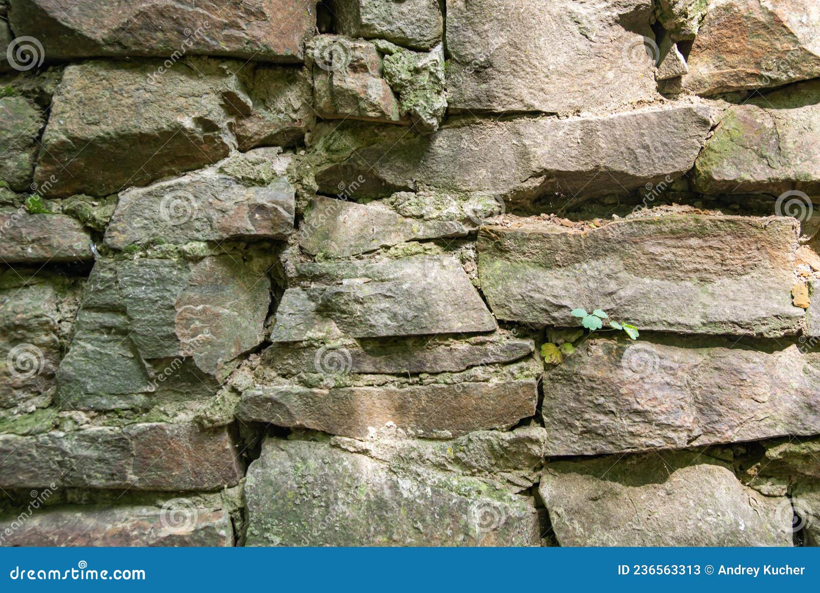 Seamless Texture of Medieval Wall of Stone Blocks Stock Image - Image ...