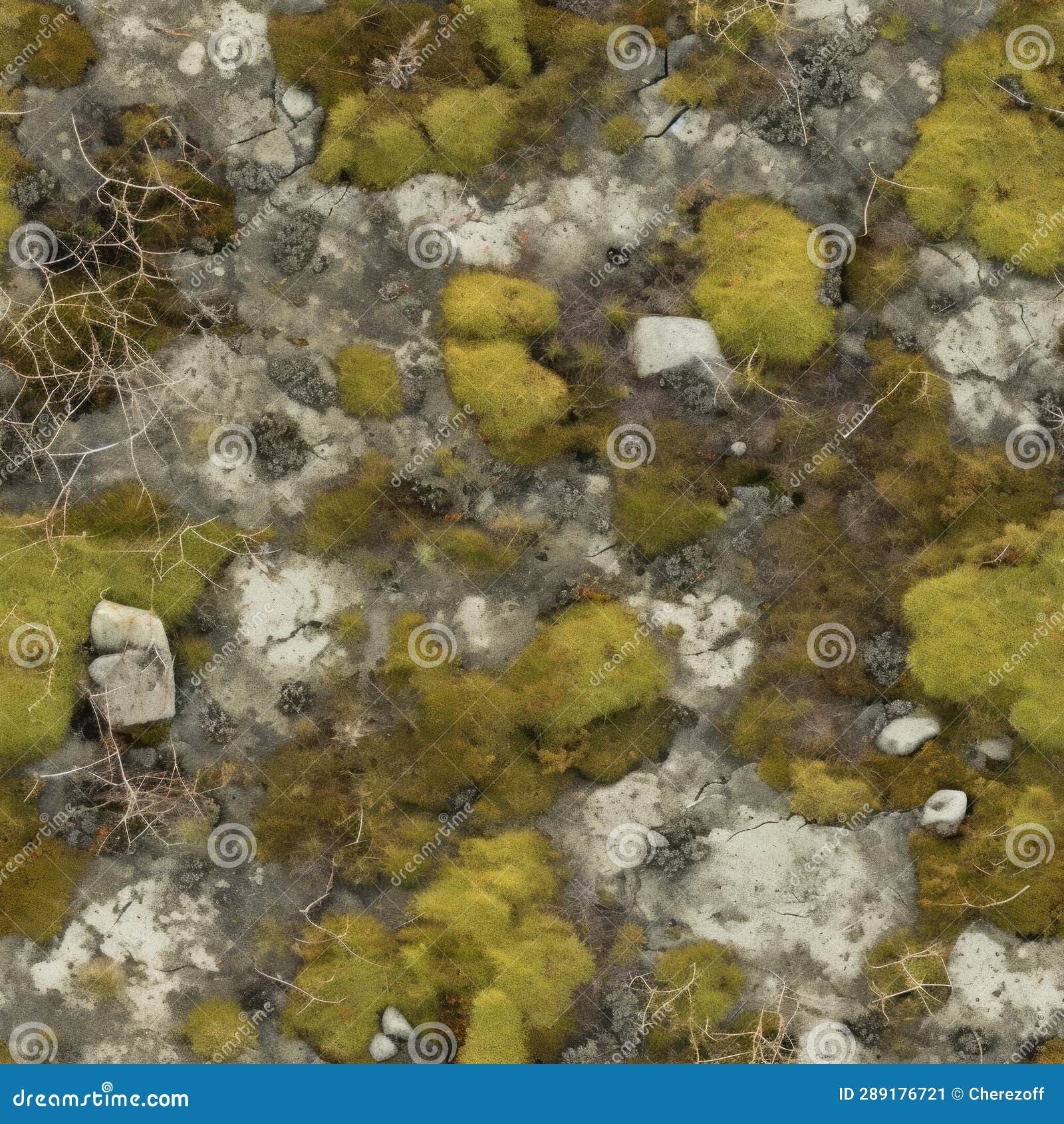 Seamless Texture. Northern Tundra Stock Image - Image of wild, pattern ...