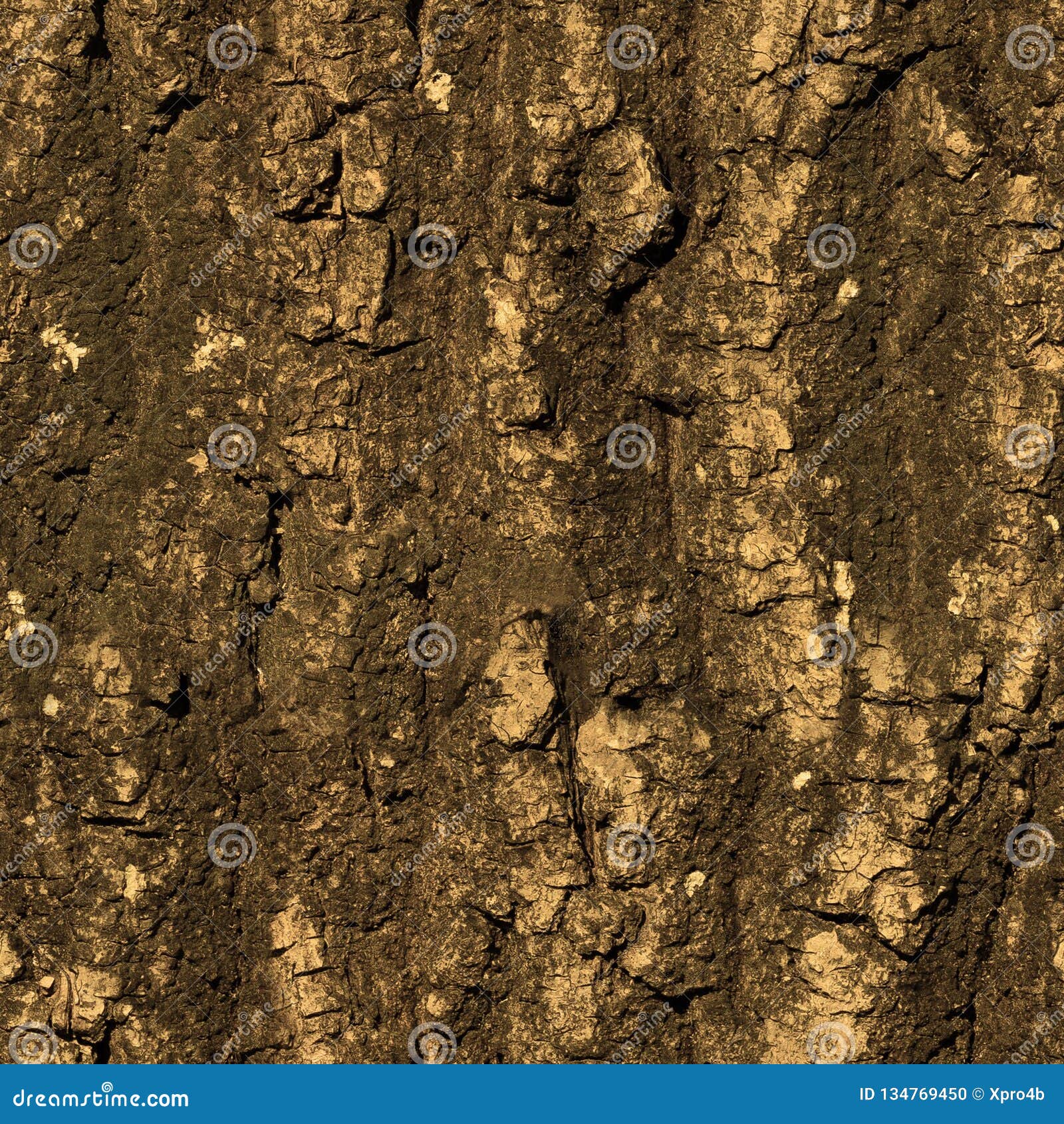 Seamless Texture of Old Forest Tree Stock Photo - Image of brown, plant ...