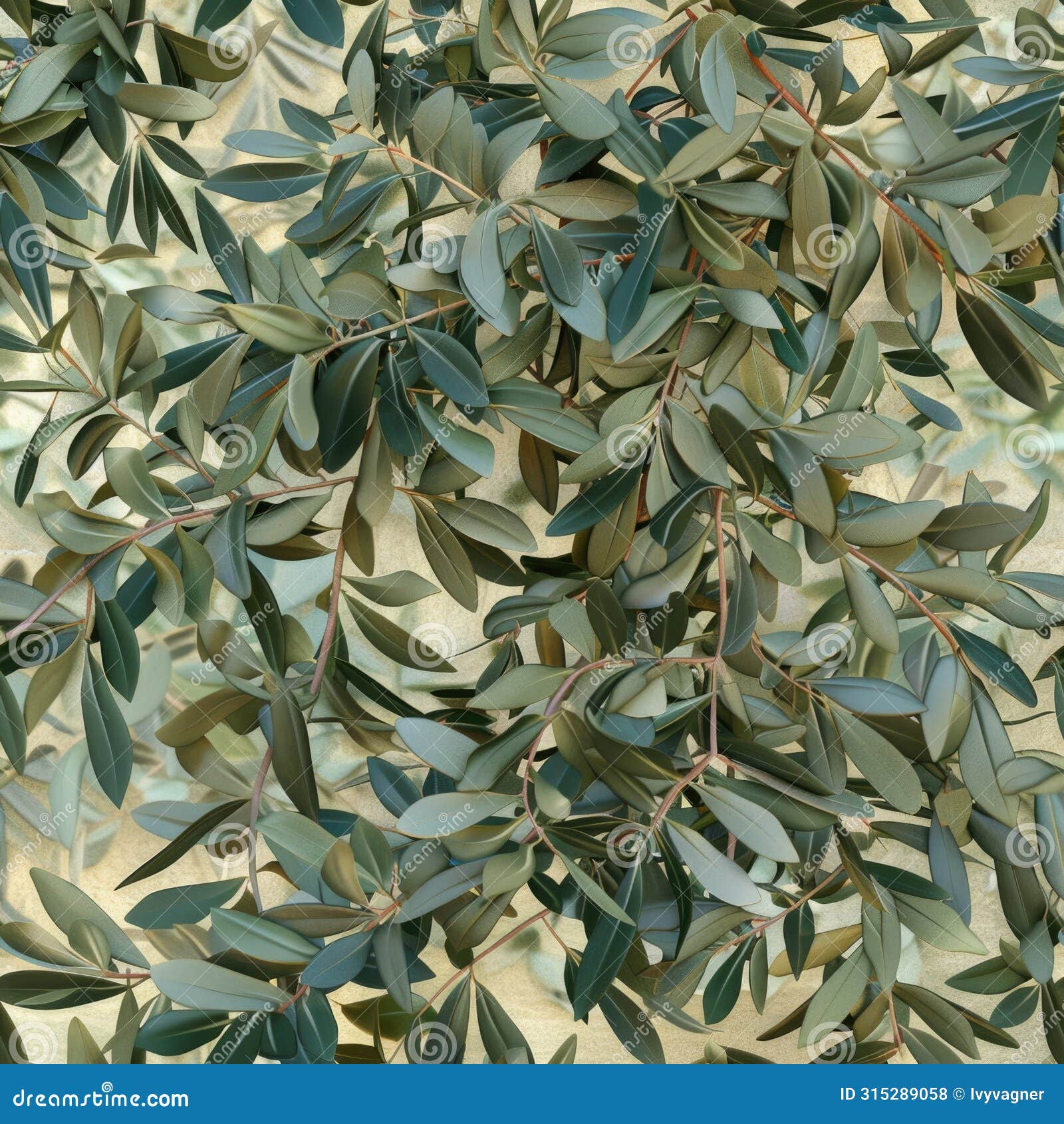 Seamless Texture of Olive Tree Branches and Leaves Stock Photo - Image ...