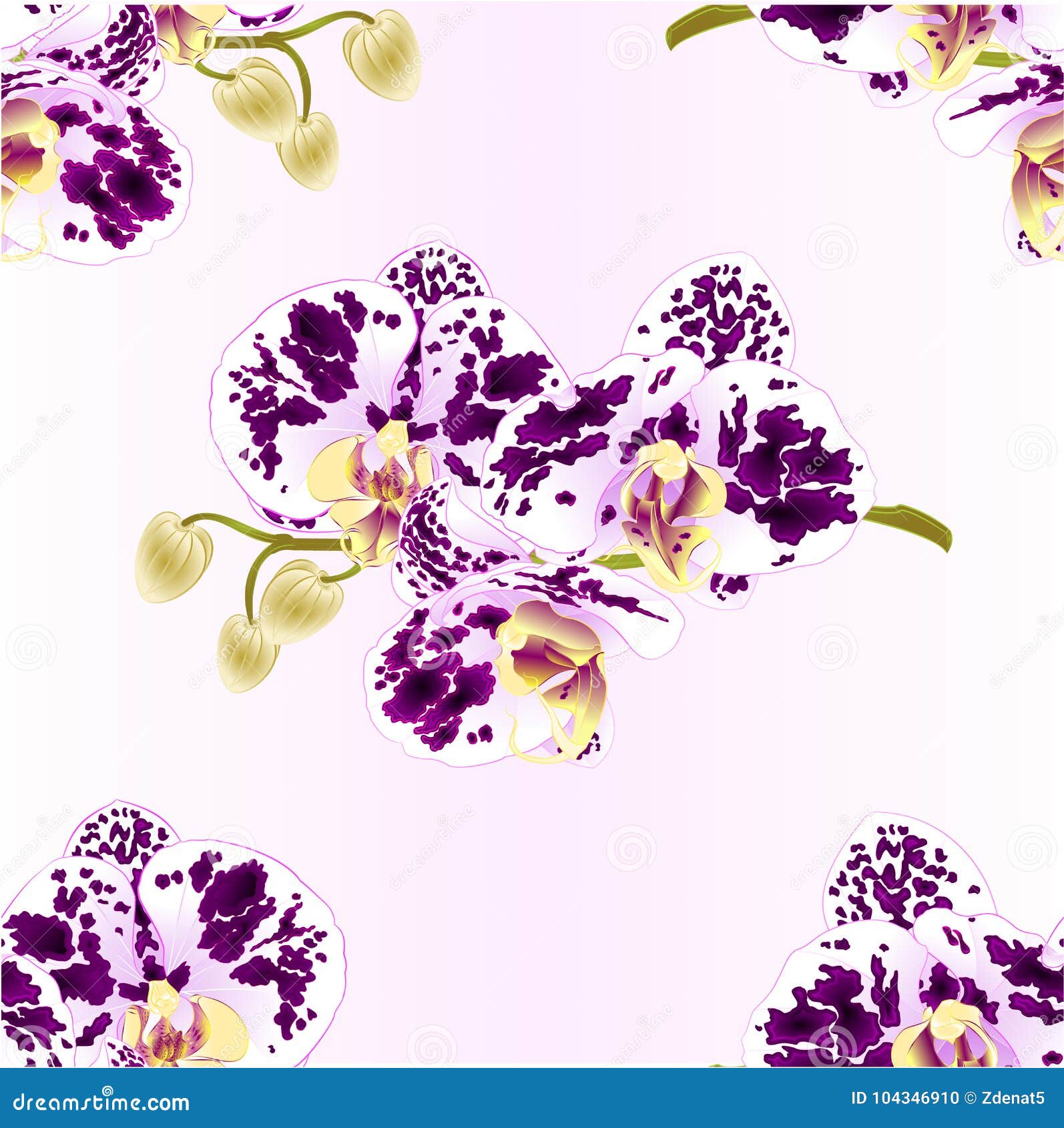 Seamless Texture Orchid Purple And White Spotted Phalaenopsis Stem With