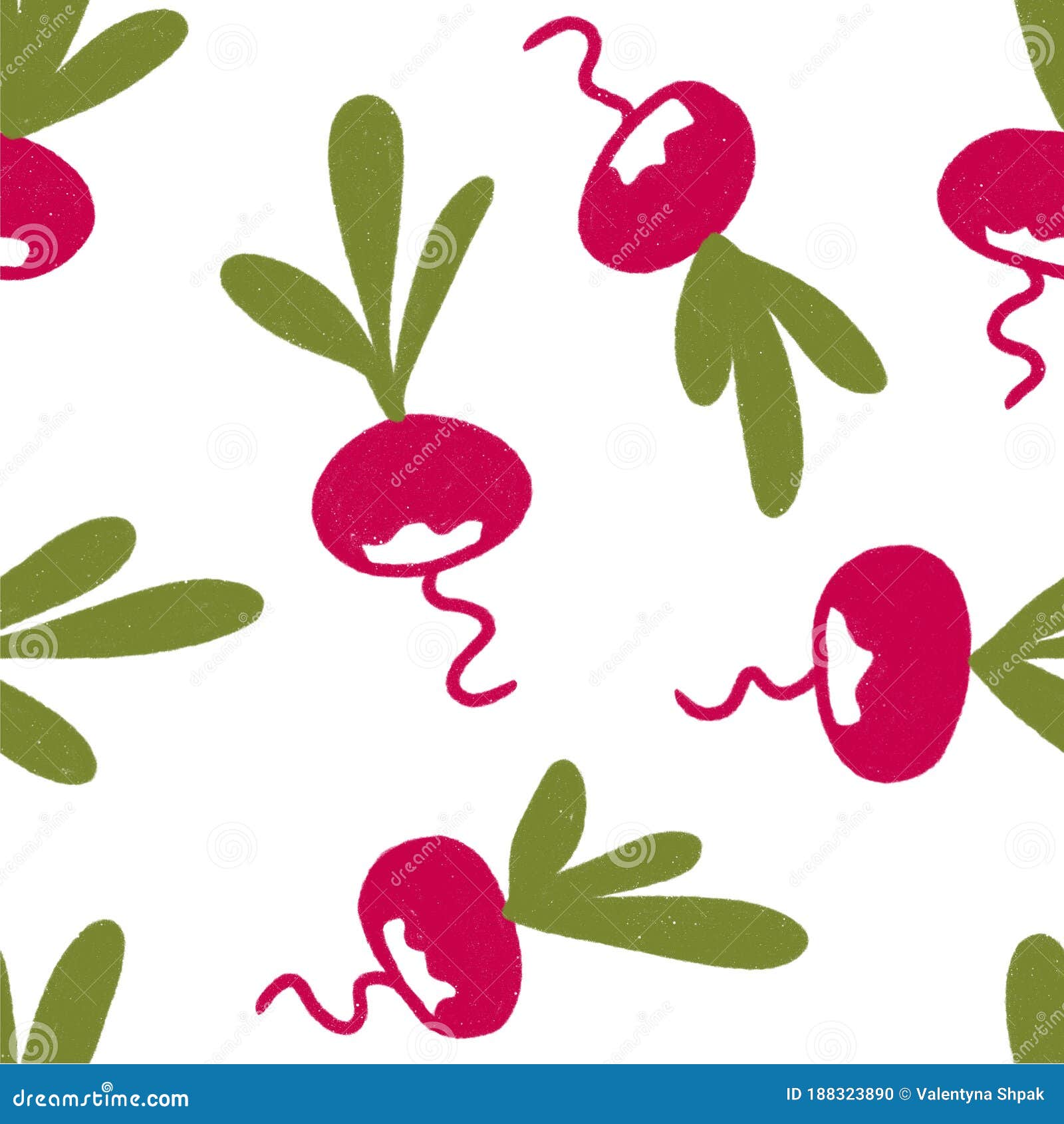 Seamless Texture Pattern of Hand Drawn Radishes on a White Background ...