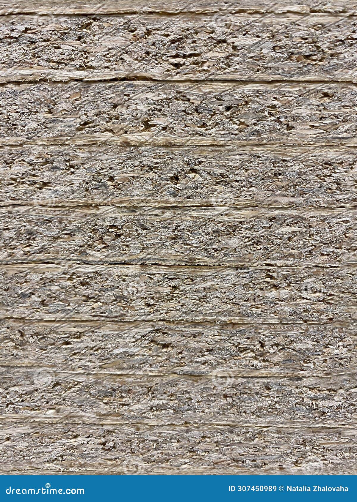 Seamless Texture of Pressed Wood on the Cut Stock Image - Image of ...