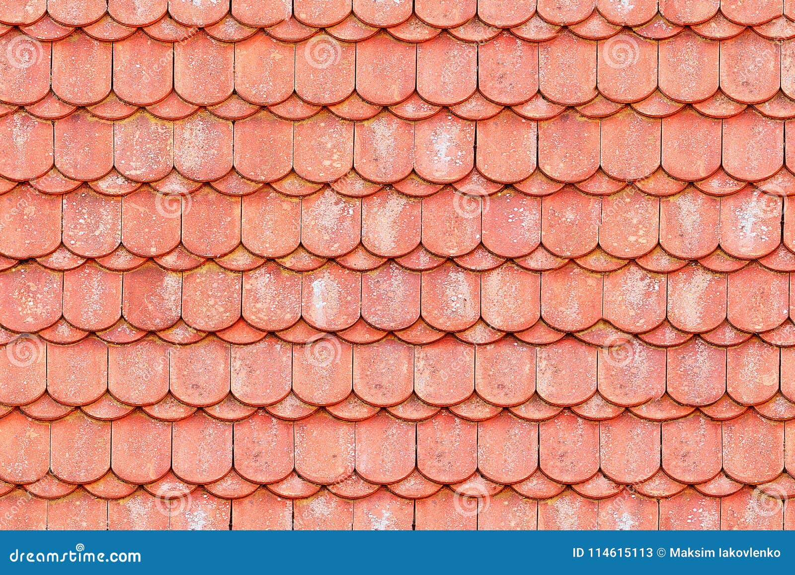 Seamless Texture of Shingles Stock Image - Image of home, background ...