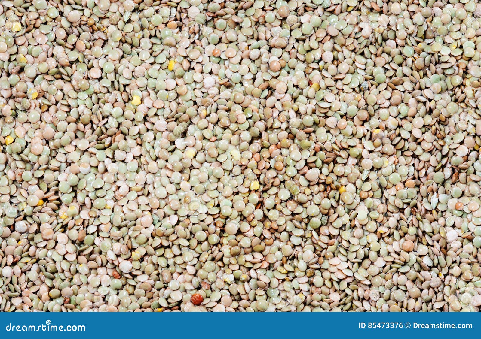 Seamless texture of rice stock photo. Image of seed, round - 85473376