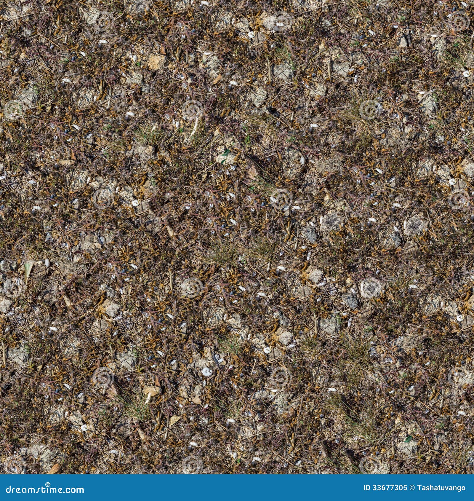 Seamless Dry Soil Cracked Texture Background Royalty-Free Stock ...