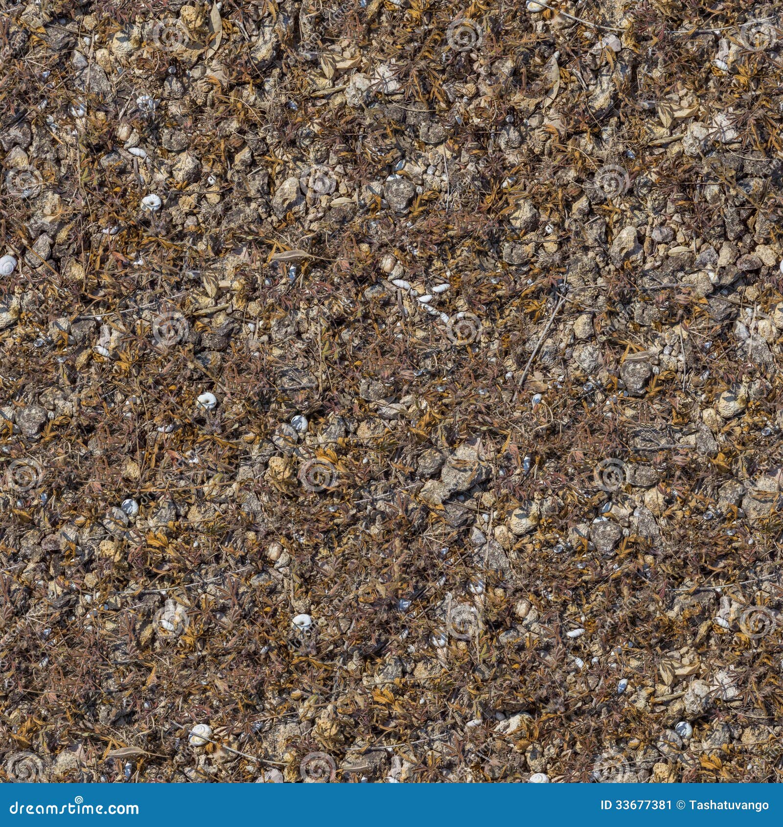 Seamless Texture of Rocky Soil. Stock Image - Image of barren ...