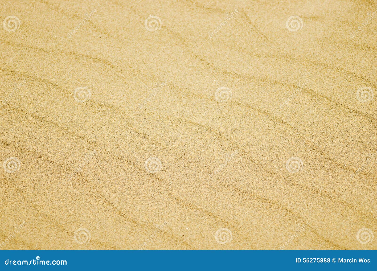 Seamless Texture Of Sand Beach. Sand Background Template. Sand Beach ...