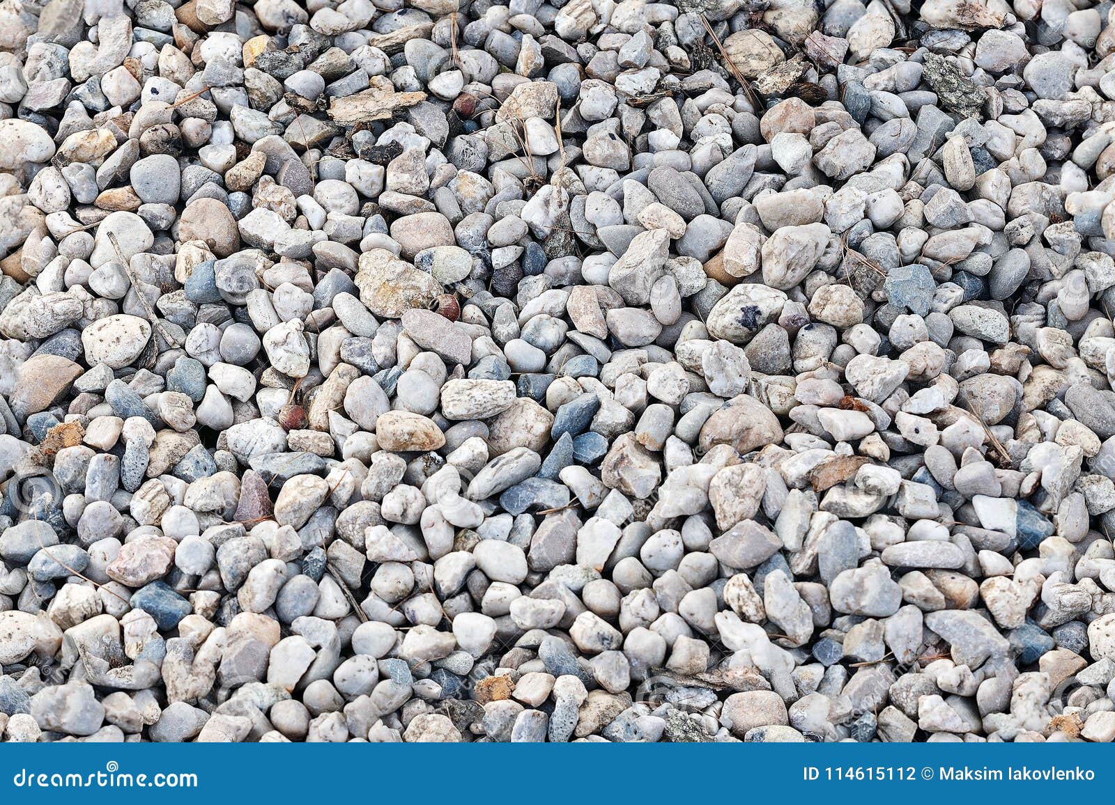 Seamless Texture of Small Pebbles Stock Photo - Image of floor, mineral ...