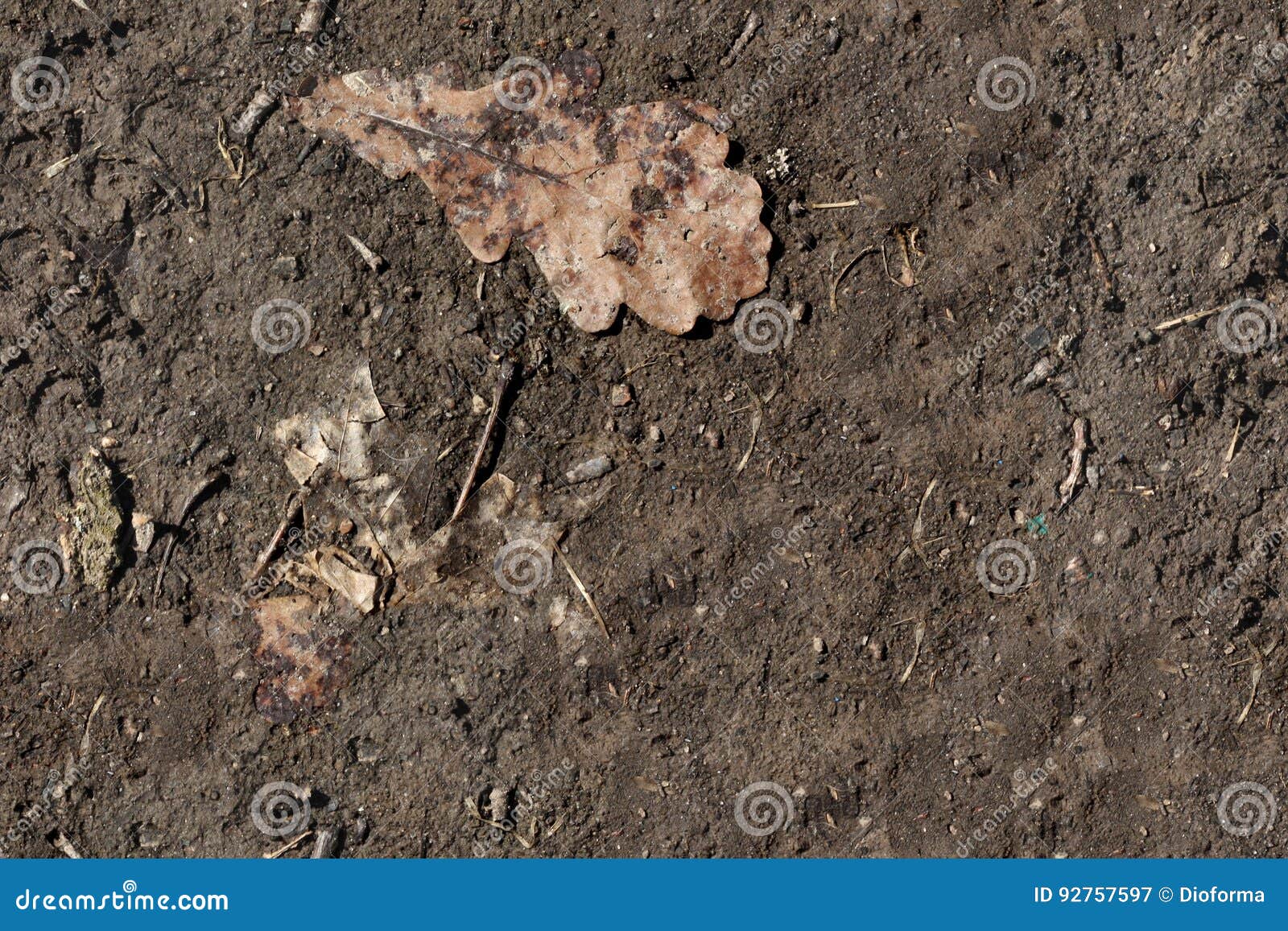 Seamless Texture of Soil and Dirt. Stock Image - Image of global ...