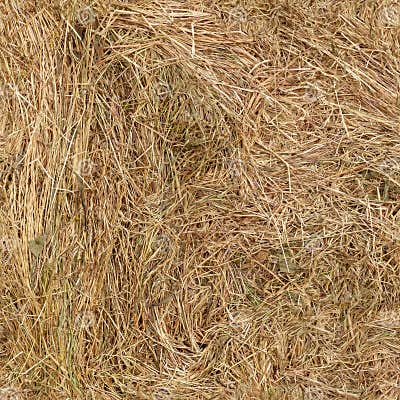 Seamless Texture of Straw Texture in 4k Resolution Stock Photo - Image ...