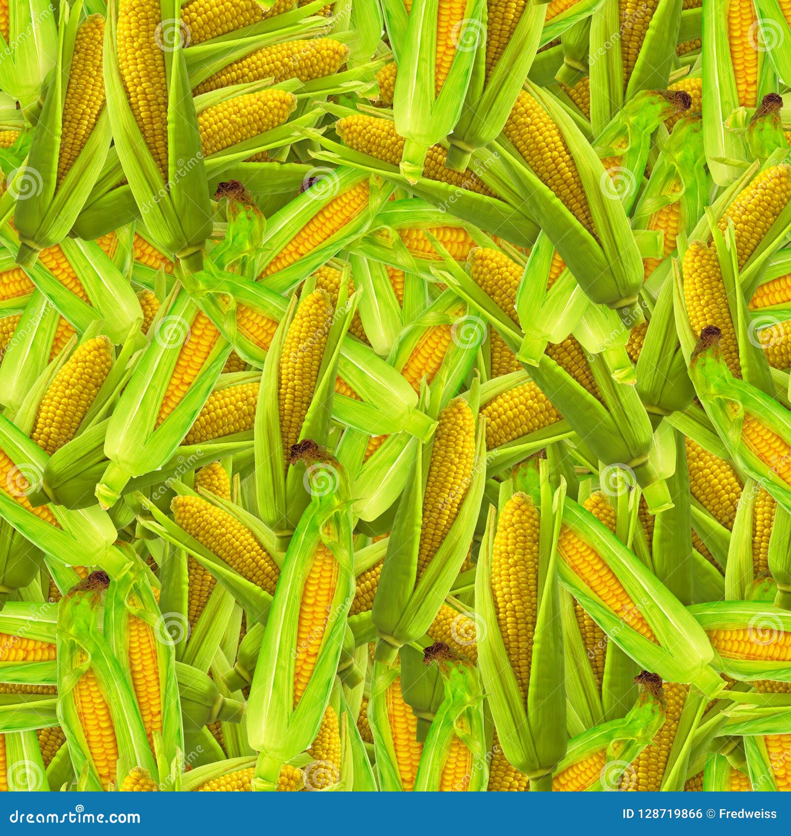 Corn Seamless Texture Tile Stock Photo | CartoonDealer.com #128719866