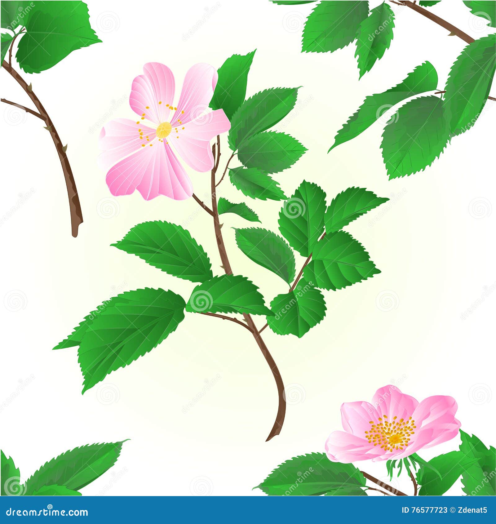 Seamless Texture Twig Wild Roses Vector Stock Vector - Illustration of ...