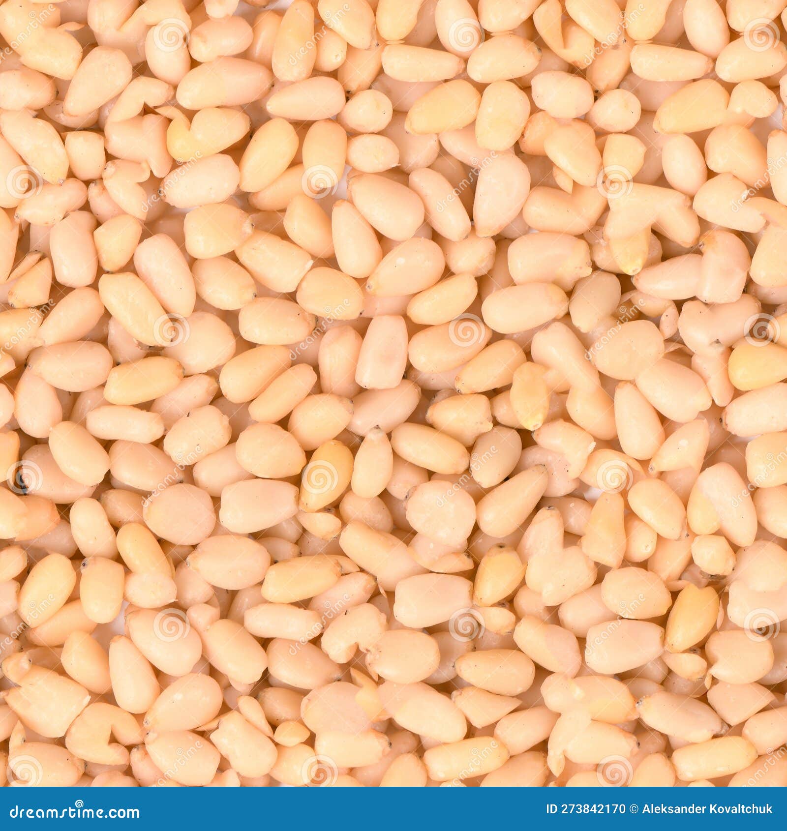 Seamless Texture or Wallpaper, Pine Nuts Top View Stock Photo - Image ...