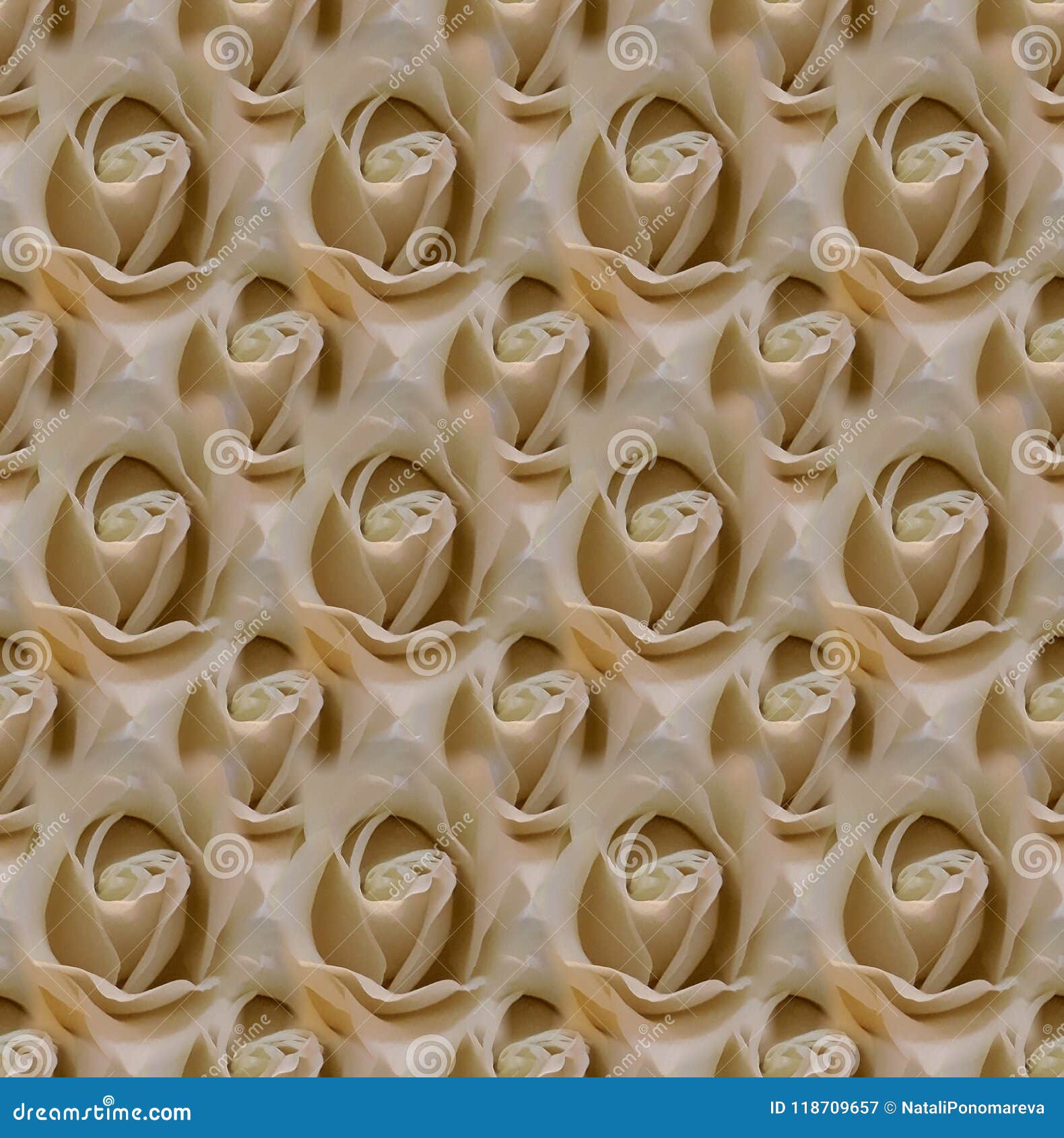 Seamless Texture White Roses Stock Image - Image of flowers, pattern ...