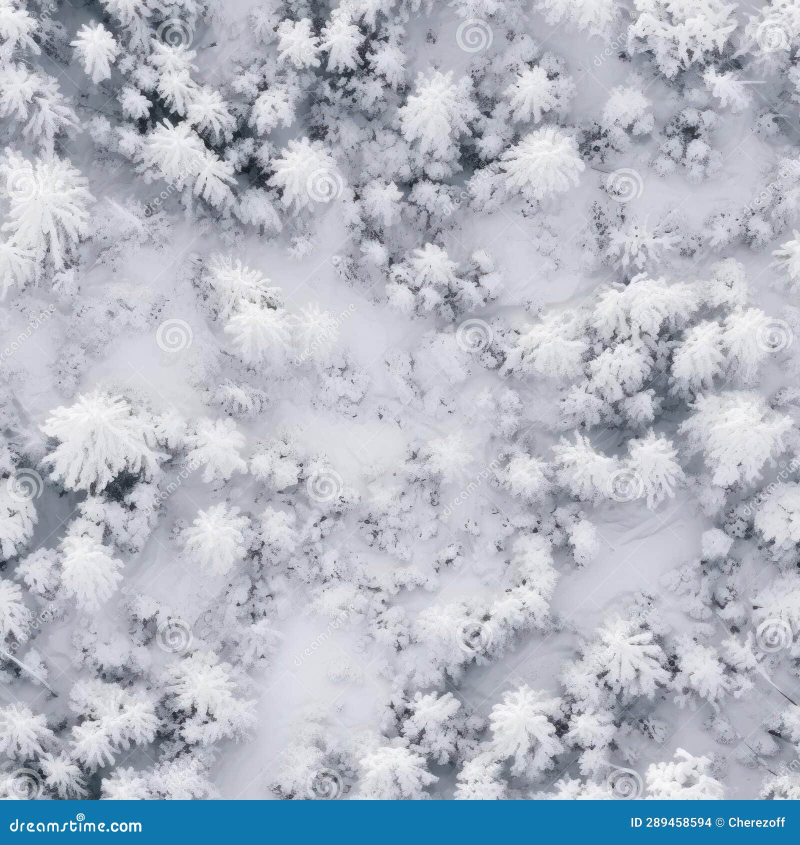 Seamless Texture of Winter Forest Stock Photo - Image of wood, white ...