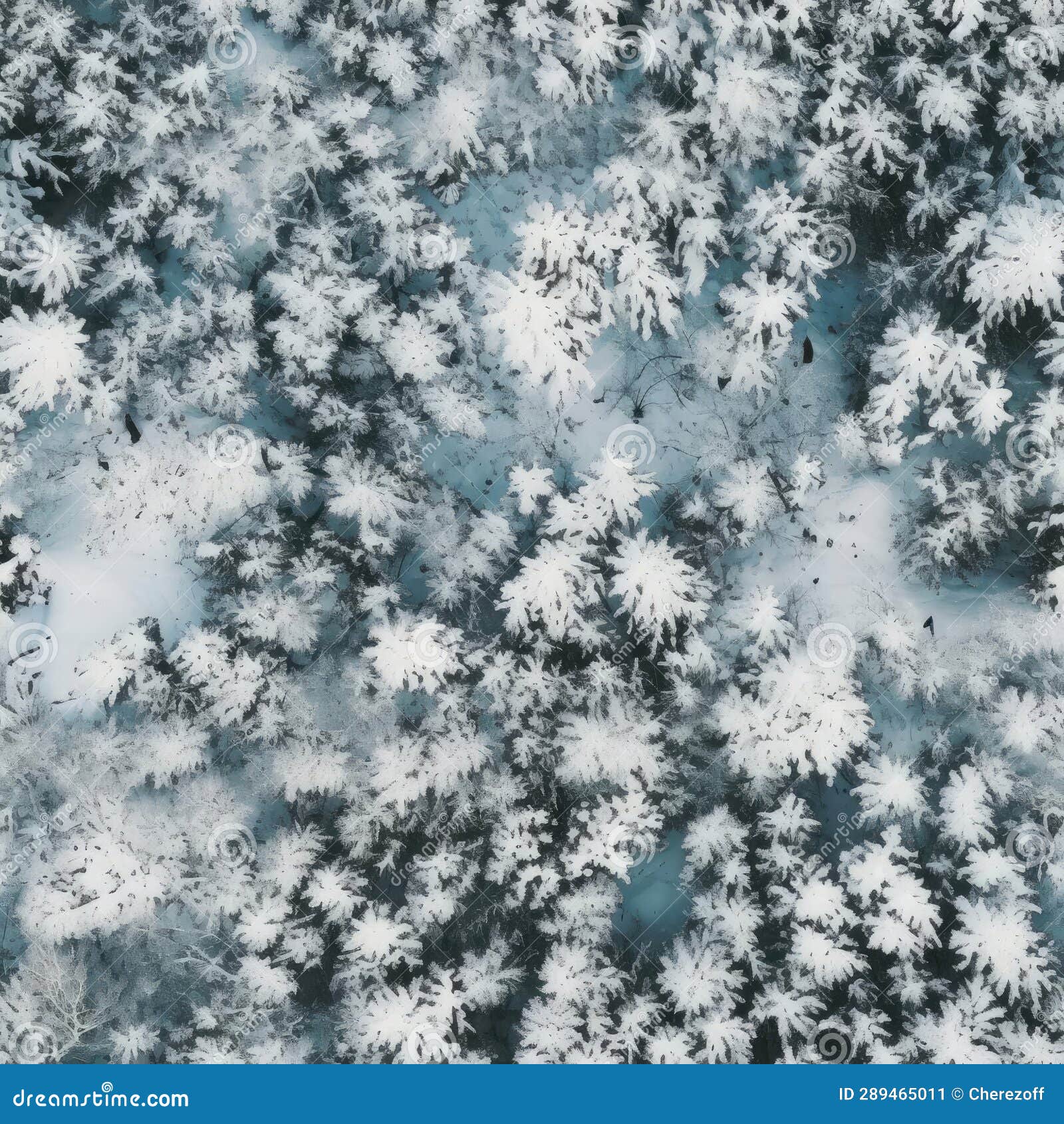 Seamless Texture of Winter Forest Stock Image - Image of outdoor ...