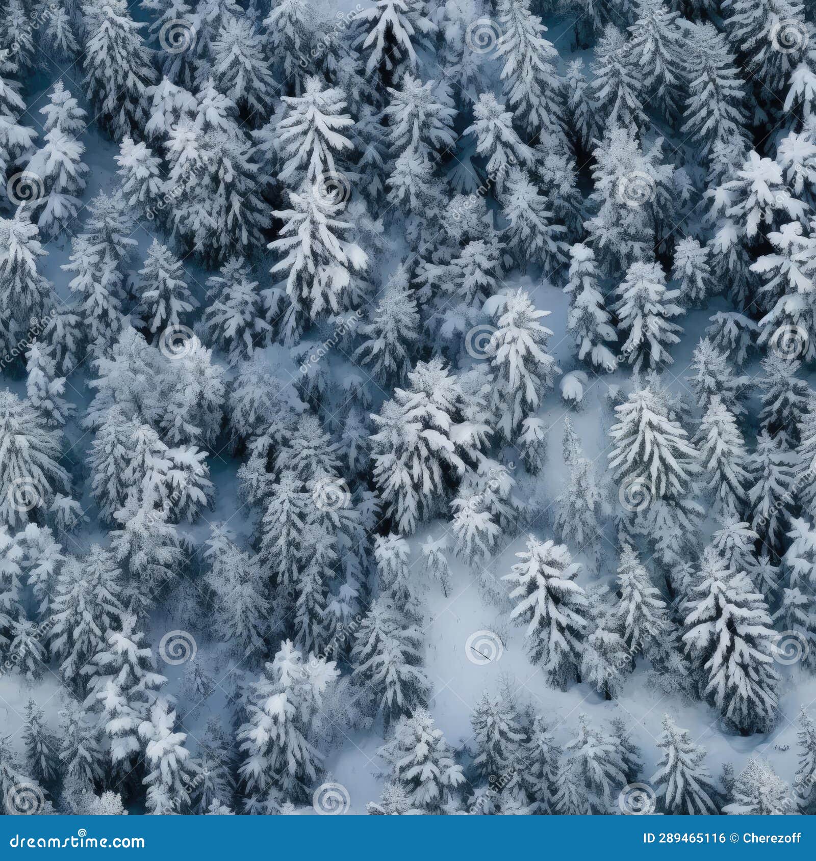 Seamless Texture of Winter Forest Stock Photo - Image of cool, snow ...