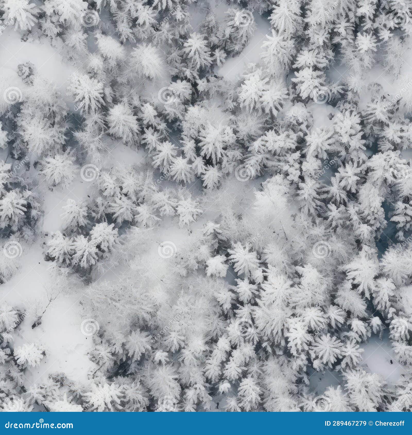 Seamless Texture of Winter Forest Stock Image - Image of ground, wild ...