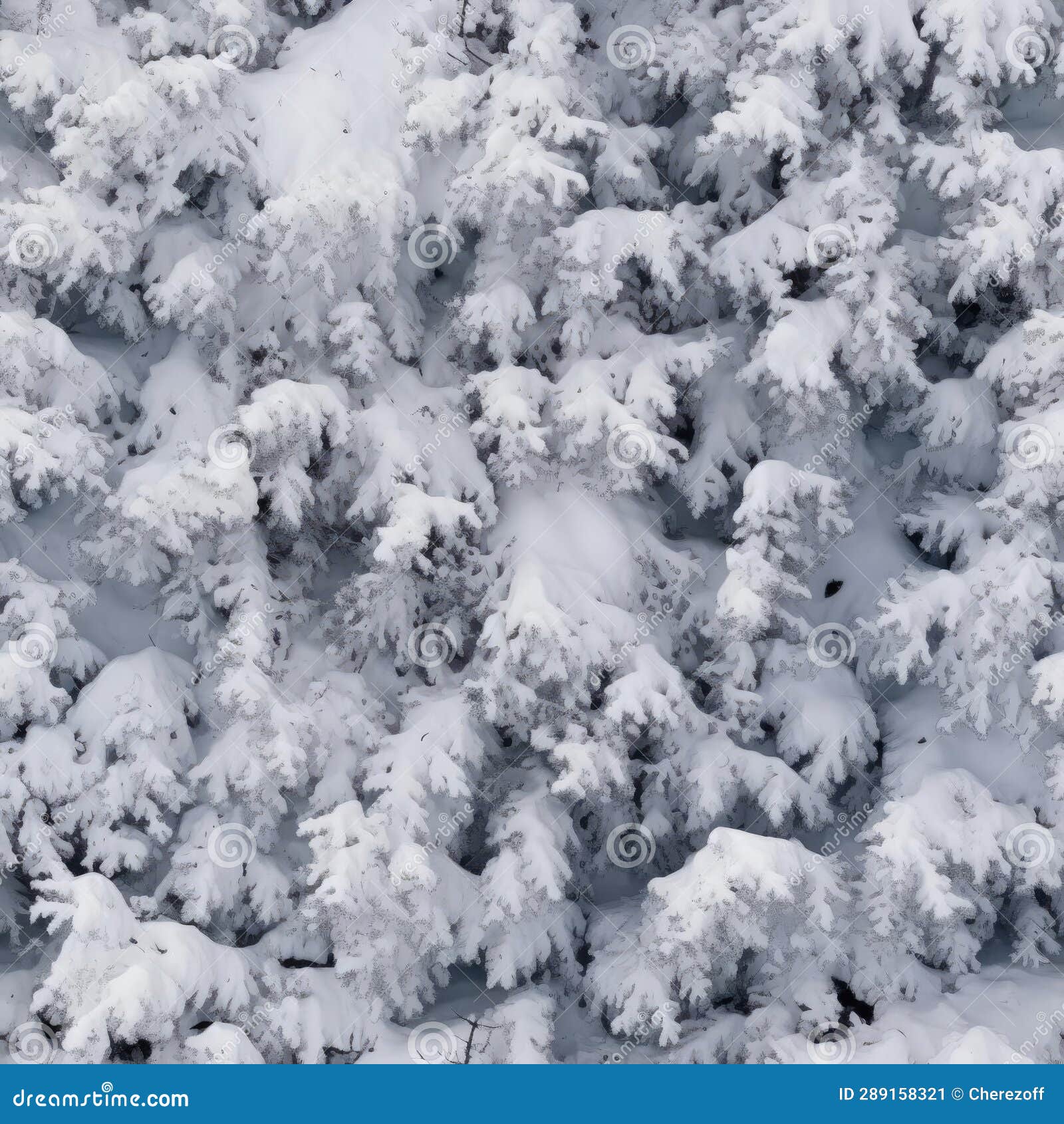 Seamless Texture of Winter Forest Stock Image - Image of blue, cool ...