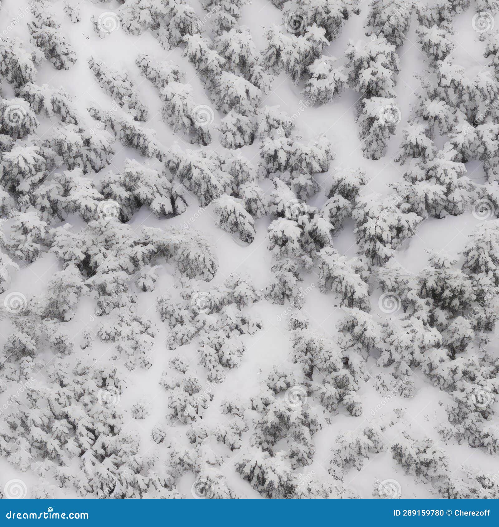 Seamless Texture of Winter Forest Stock Photo - Image of snow, ground ...