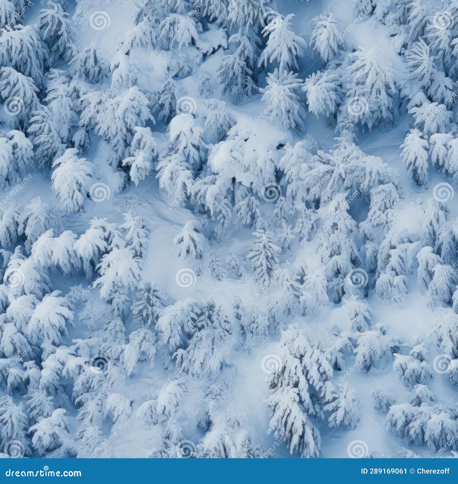 Seamless Texture of Winter Forest Stock Image - Image of landscape ...