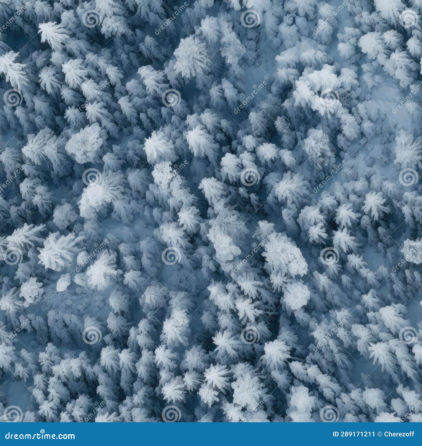 Seamless Texture of Winter Forest Stock Image - Image of trees, ground ...