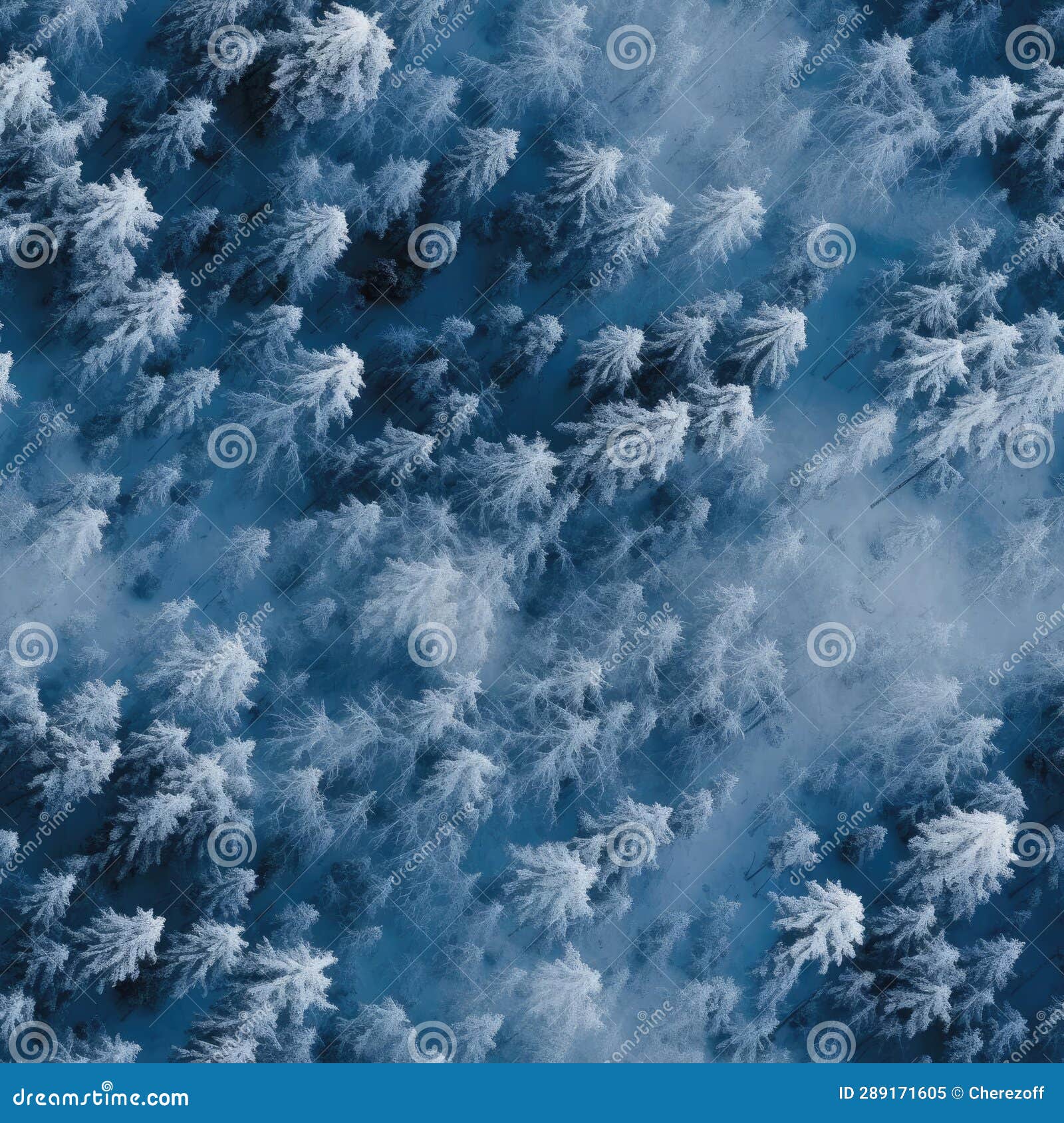 Seamless Texture of Winter Forest Stock Image - Image of view, cool ...