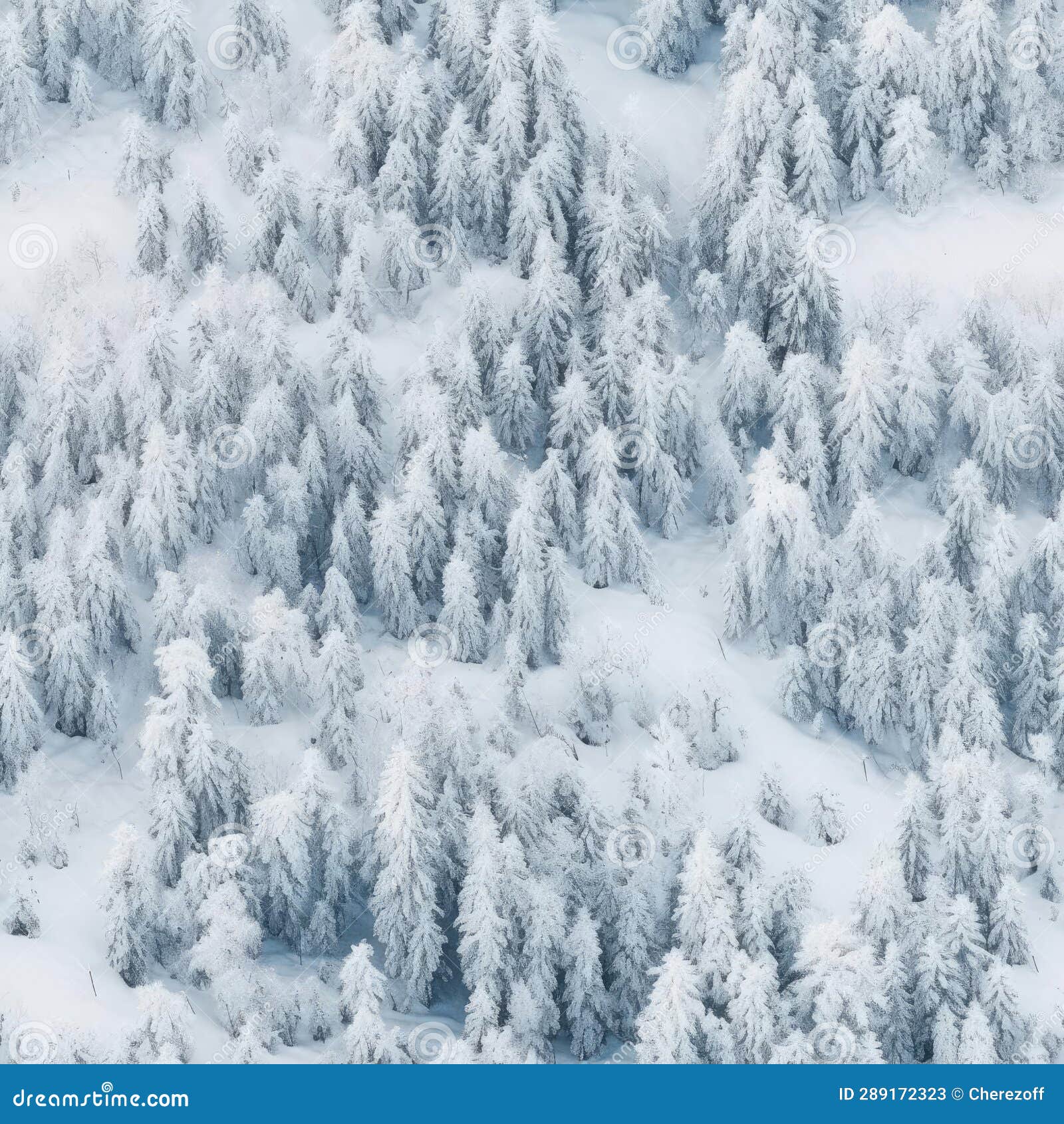 Seamless Texture of Winter Forest Stock Image - Image of cool, nature ...