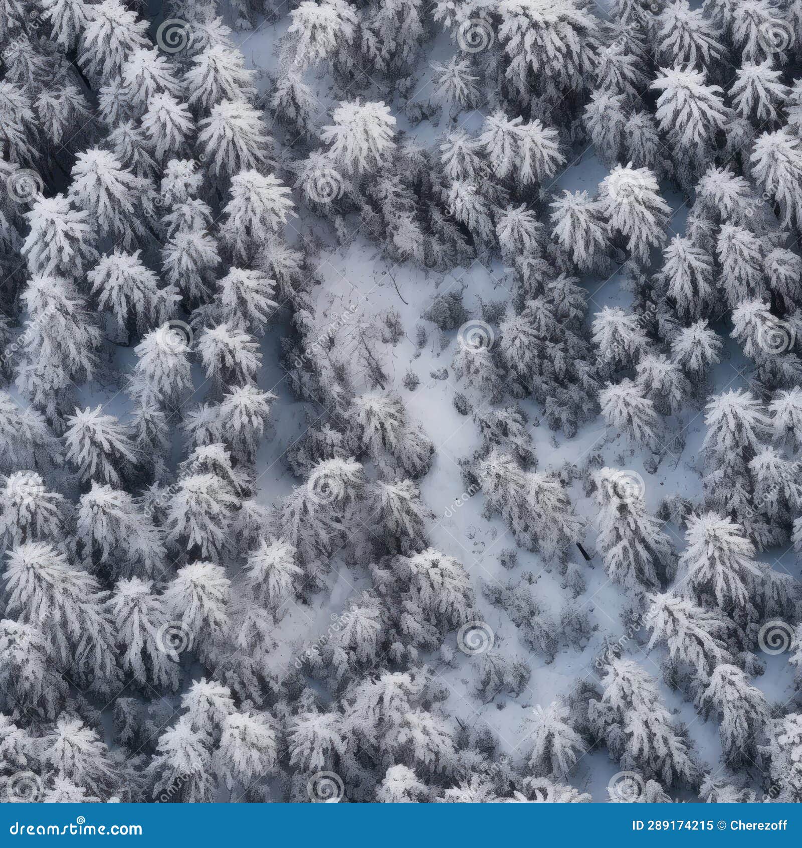 Seamless Texture of Winter Forest Stock Image - Image of snowdrift ...