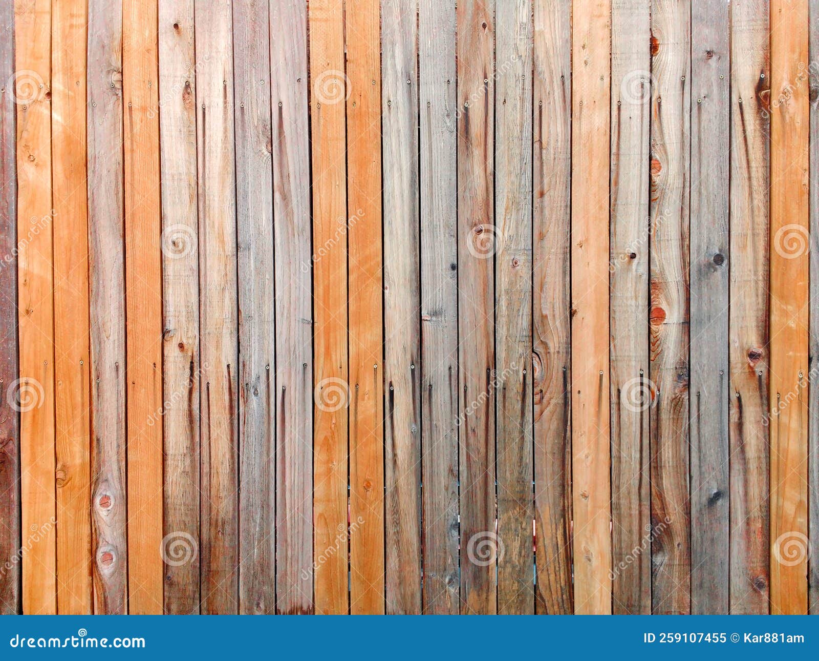 Seamless Texture Wood, High Quality Stock Image - Image of interior ...