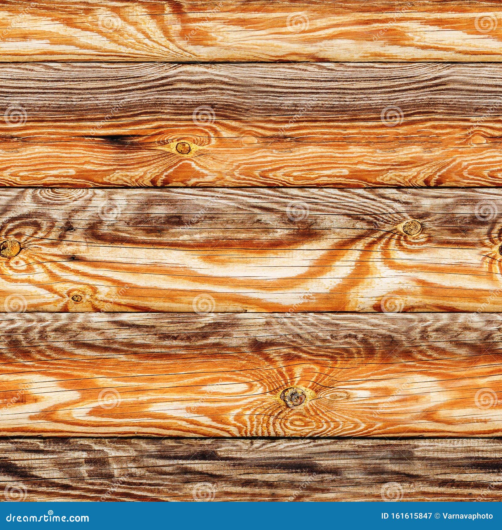 Seamless Texture of Wooden Wall of Pine Logs. Stock Image - Image of ...
