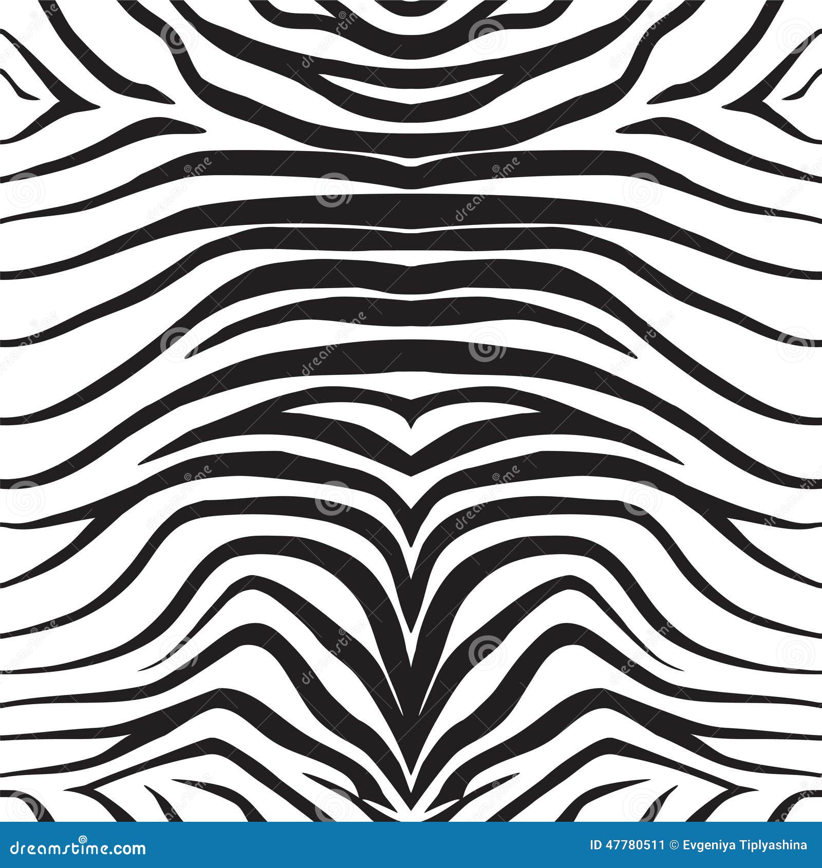 Seamless Texture of Zebra Skin Stock Vector - Illustration of safari ...