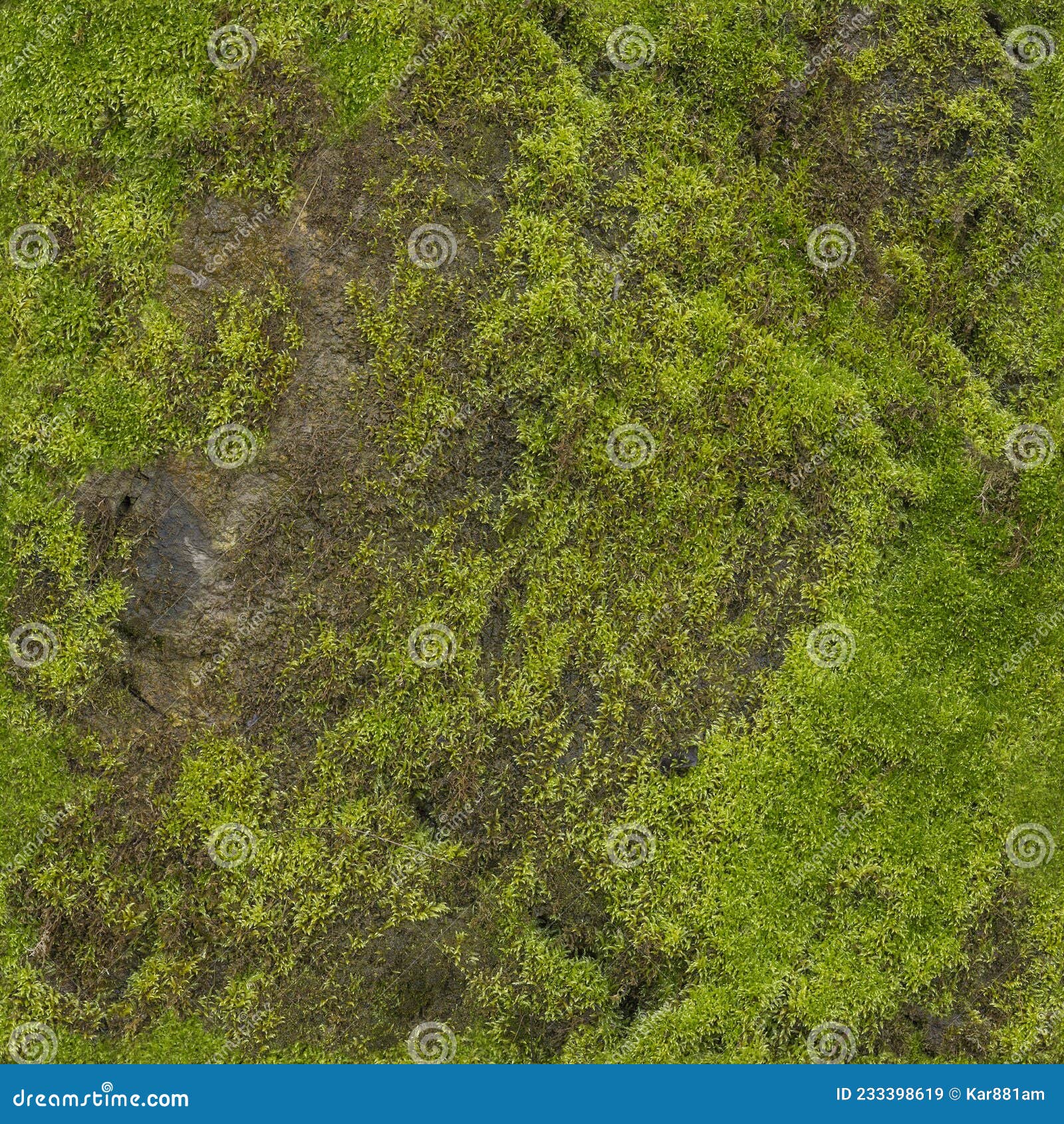 Seamless Textures of the Ground. Very High Quality Stock Image - Image ...