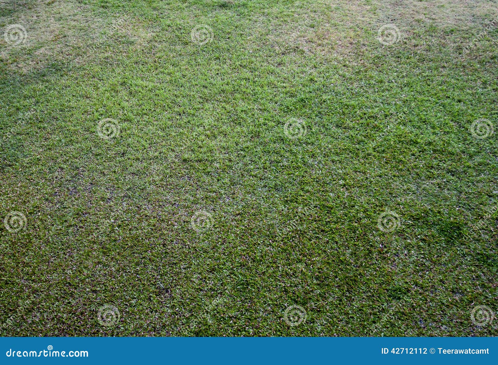Seamless Tileable of Green Grass Stock Photo - Image of freshness, land ...