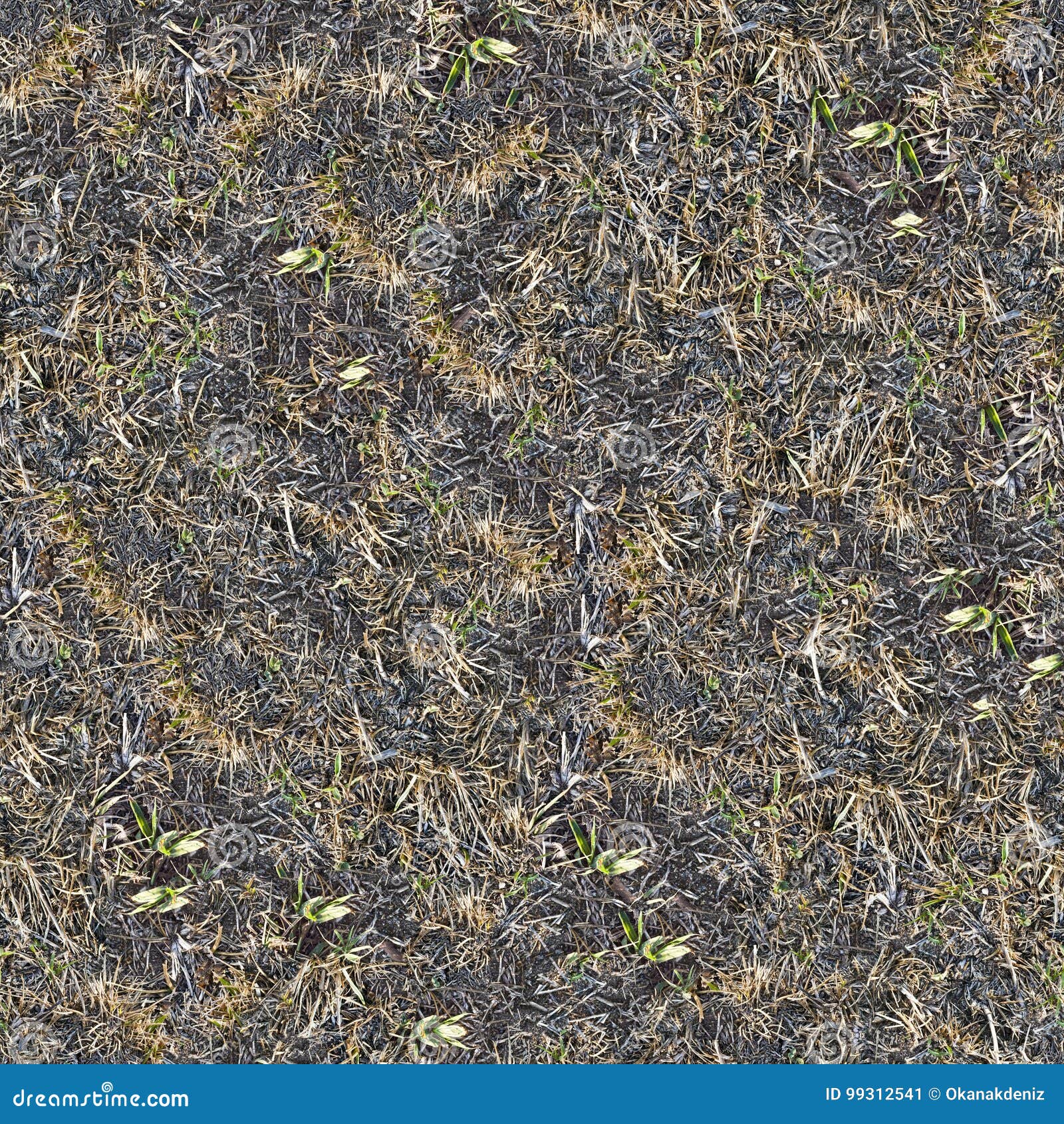 Seamless Tileable Natural Ground Field Texture Stock Image - Image of ...