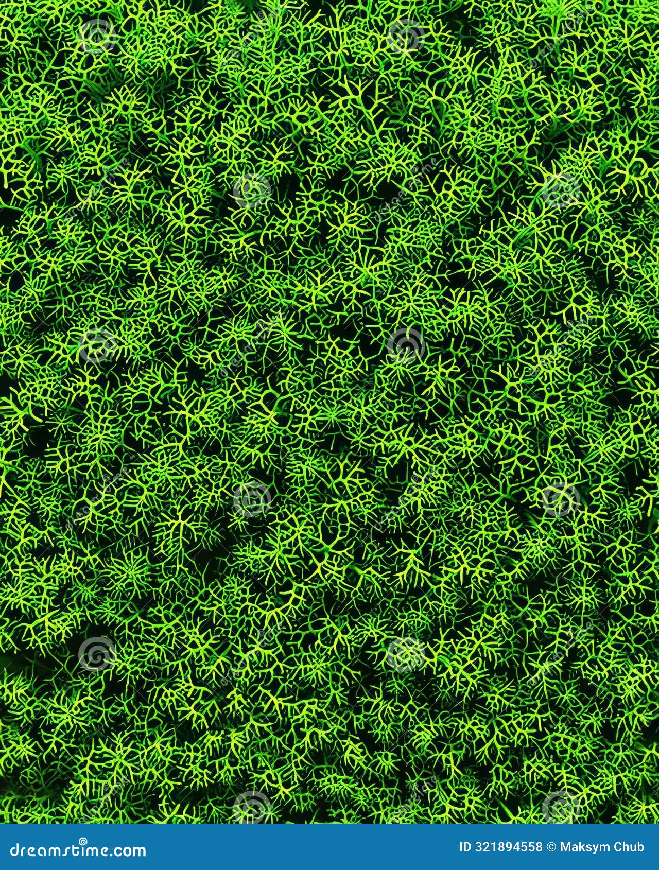 Seamless Tileable Pattern of Fresh Broccoli Vegetable Texture for ...