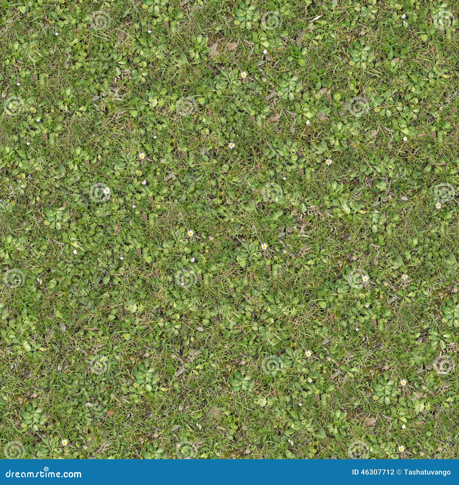 Seamless Tileable Texture of Forest Lawn. Stock Photo - Image of ...