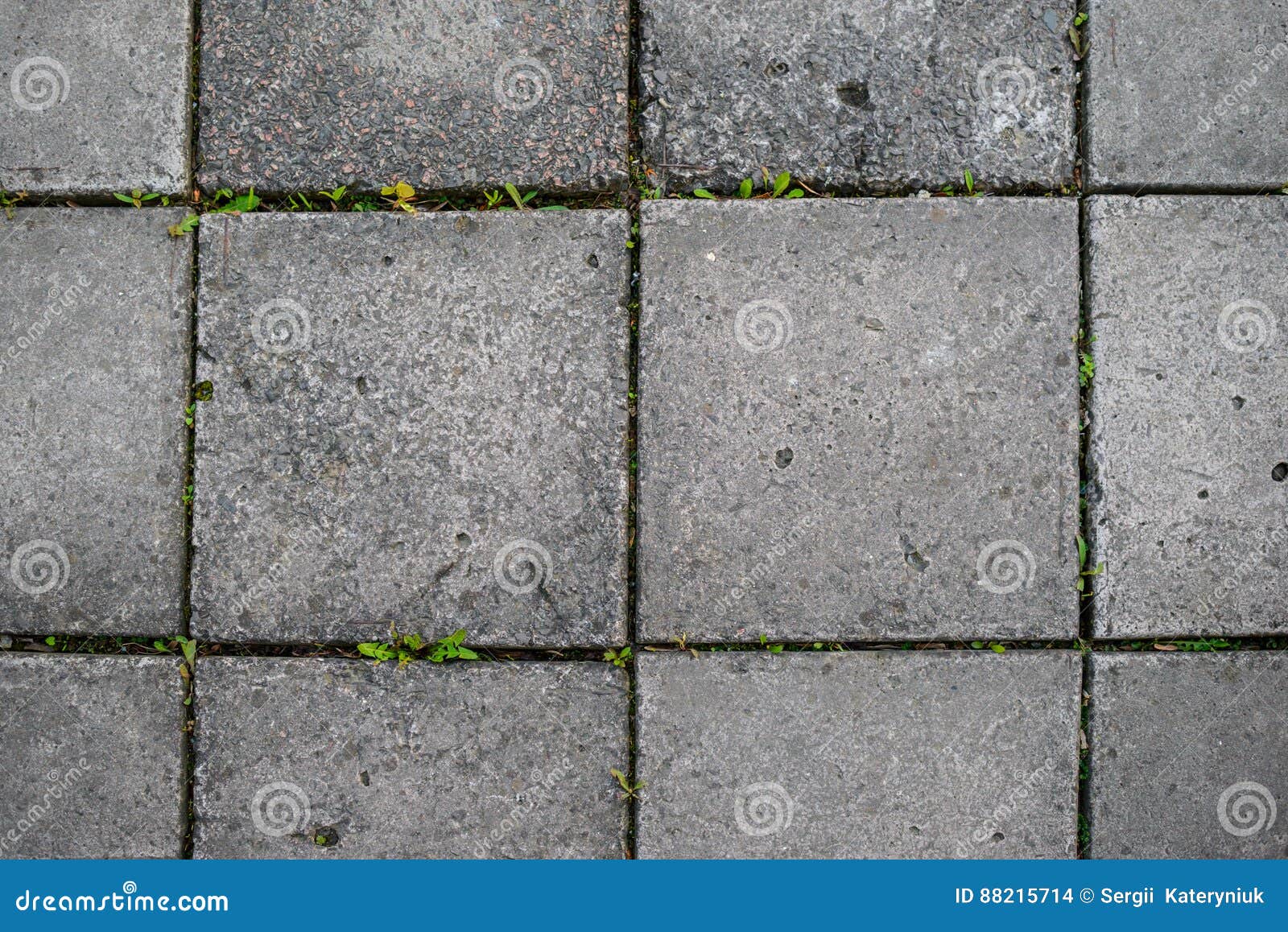Seamless Tileable Texture of Paving Slabs Stock Photo - Image of ...