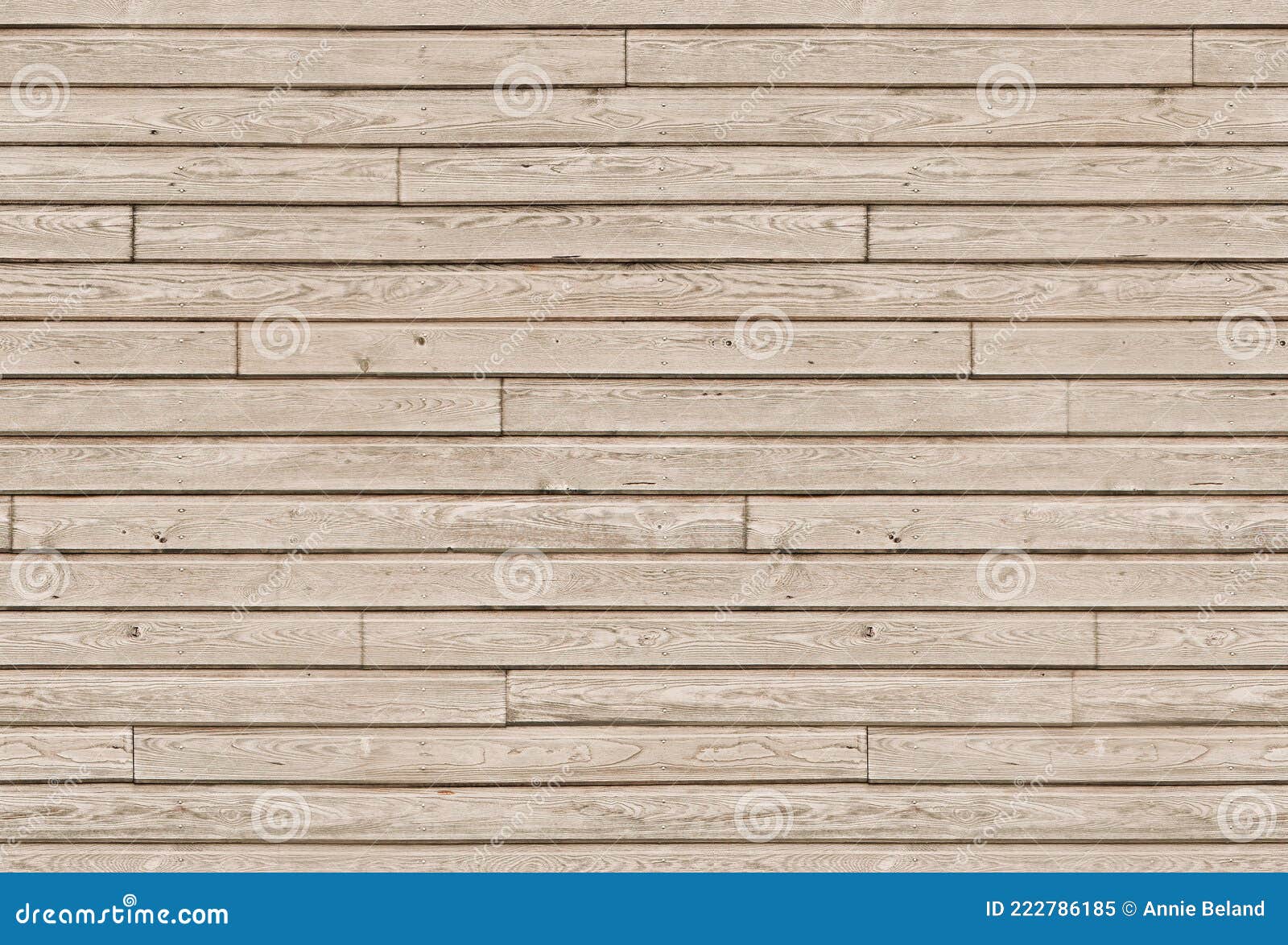 Seamless Tileable Texture of Wood Boarding Wall Stock Image - Image of ...