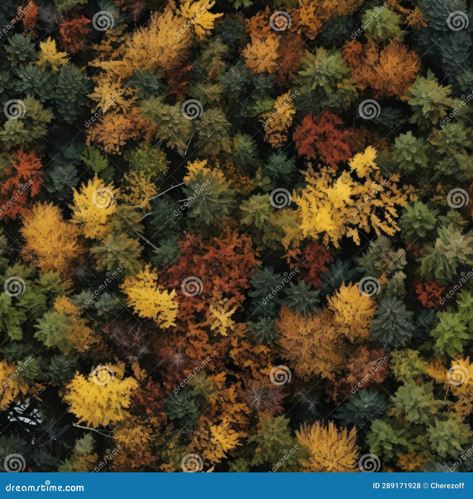 Seamless. Top View of the Autumn Forest Stock Photo - Image of foliage ...